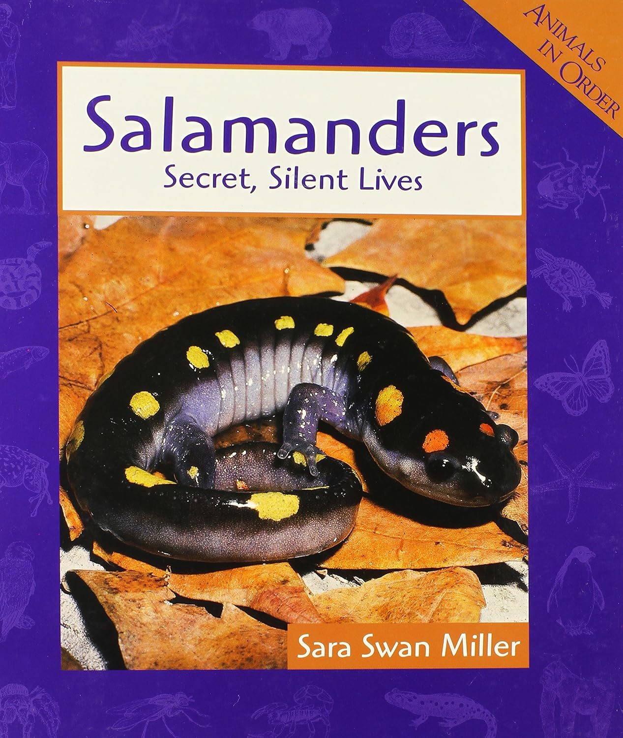 Salamanders: Secret, Silent Lives (Animals in Order): Miller, Sara Swan ...