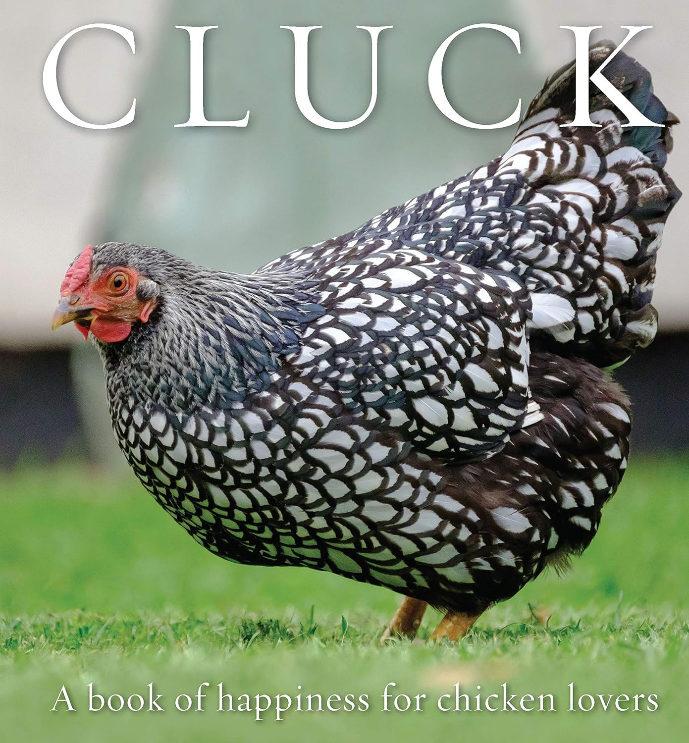 Cluck: A Book of Happiness for Chicken Lovers (Animal Happiness ...
