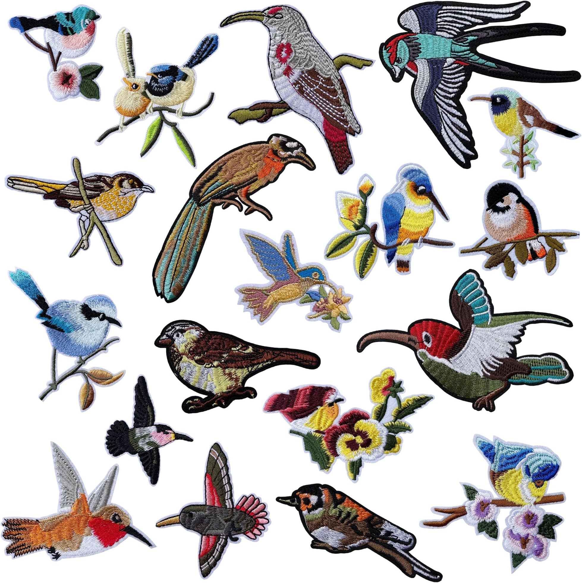 Amazon.com: Nature weaved in threads, Amazing Birds Kingdom [Single ...