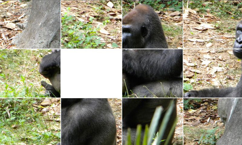 Animal Puzzle - App on Amazon Appstore