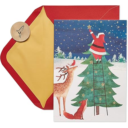Amazon.com : Papyrus Christmas Cards Boxed, Glitter-Free Hanging ...