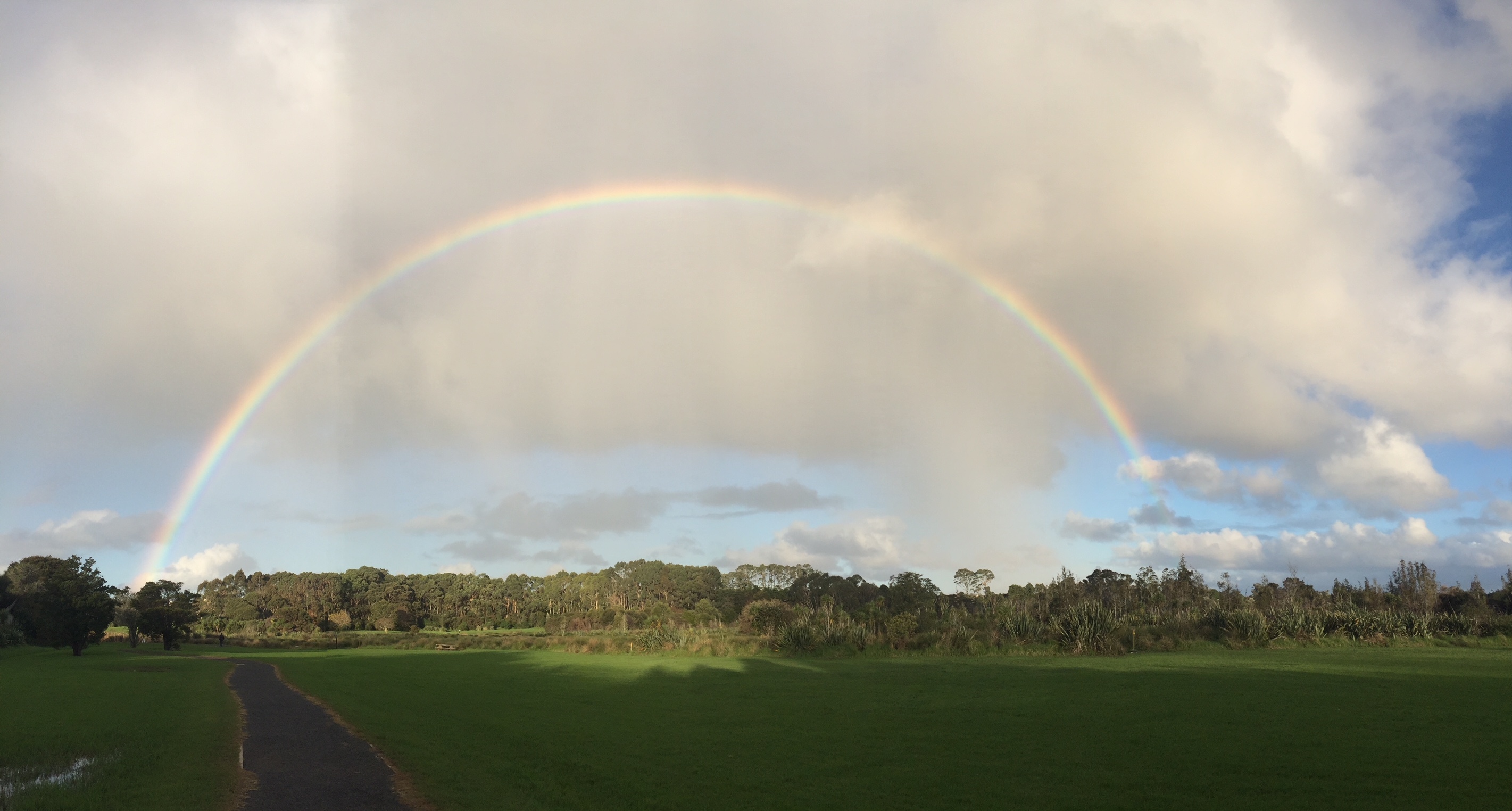 Amazon.com: Art Nahill: books, biography, latest update