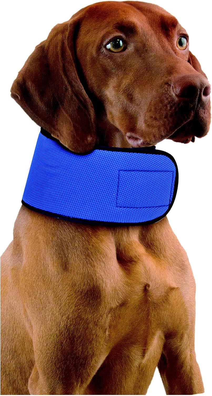 Amazon.com : Penn Plax Glacial Gear Cooling Collar for Dogs, Large ...