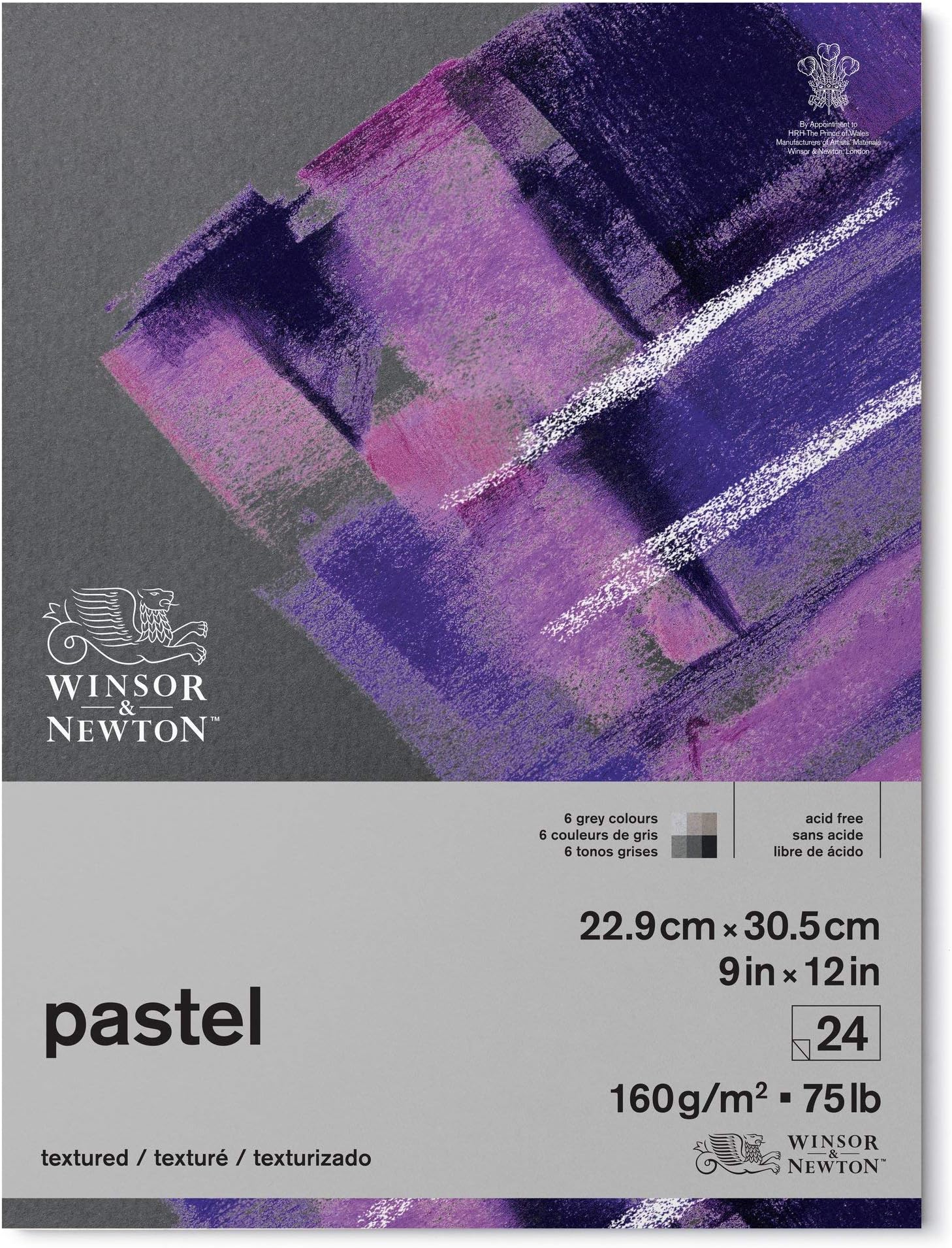 Amazon.com: Winsor & Newton Professional Pastel Paper Pad, 9" x 12", 24 ...