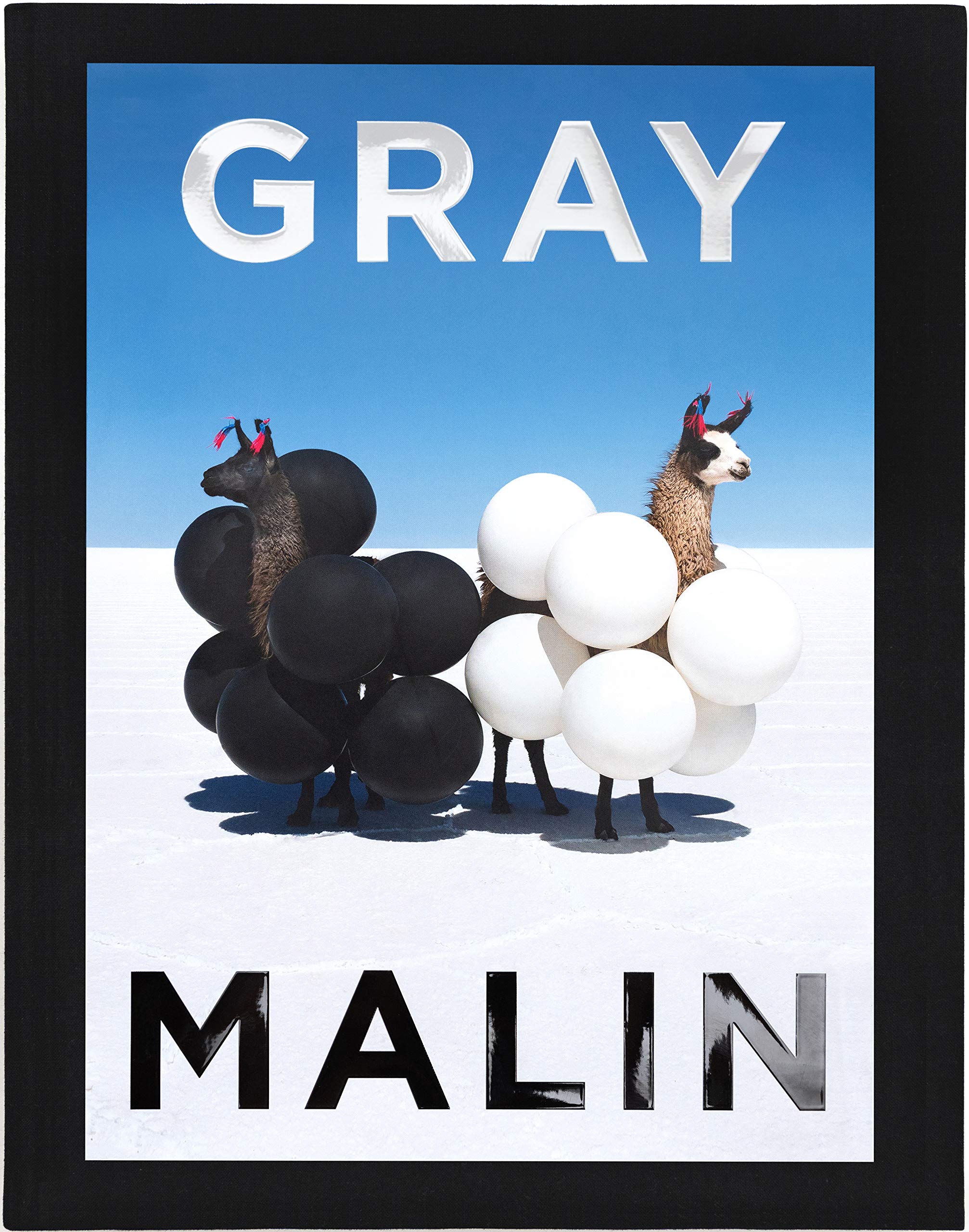 Gray Malin: The Essential Collection: Malin, Gray: 9781419750267 ...