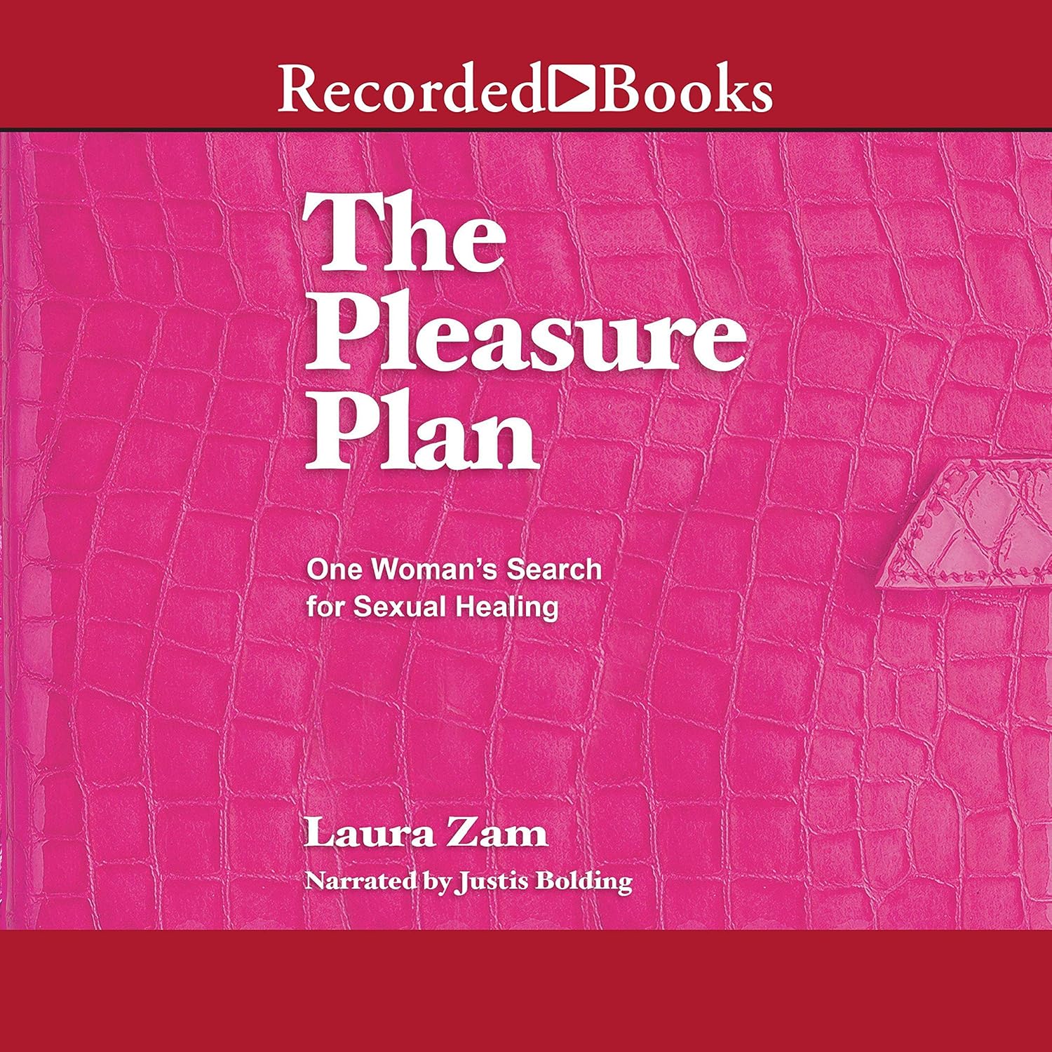 Amazon.com: The Pleasure Plan: A Sexual Healing Odyssey (Audible Audio ...