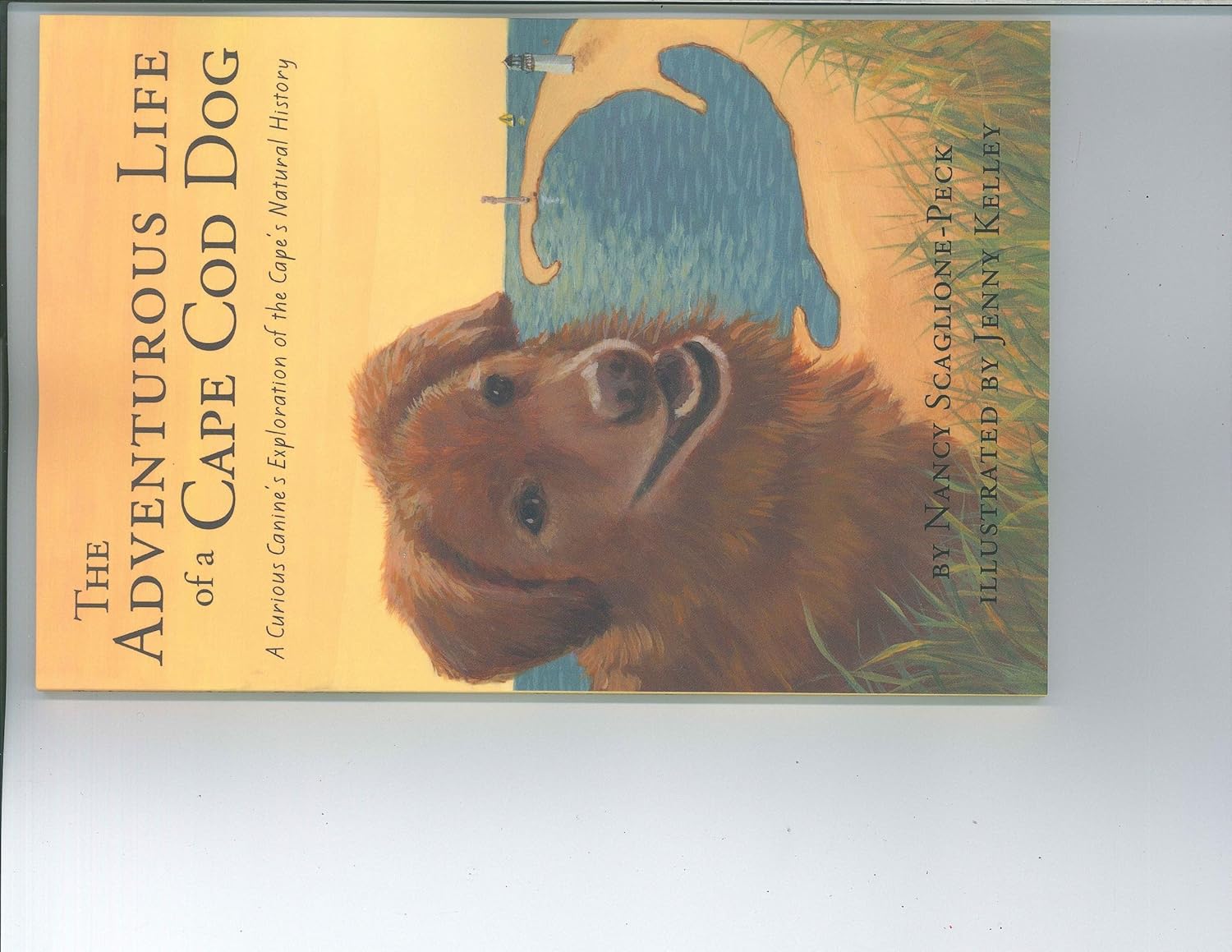 The Adventurous Life of a Cape Cod Dog: A Curious Canine's Exploration ...