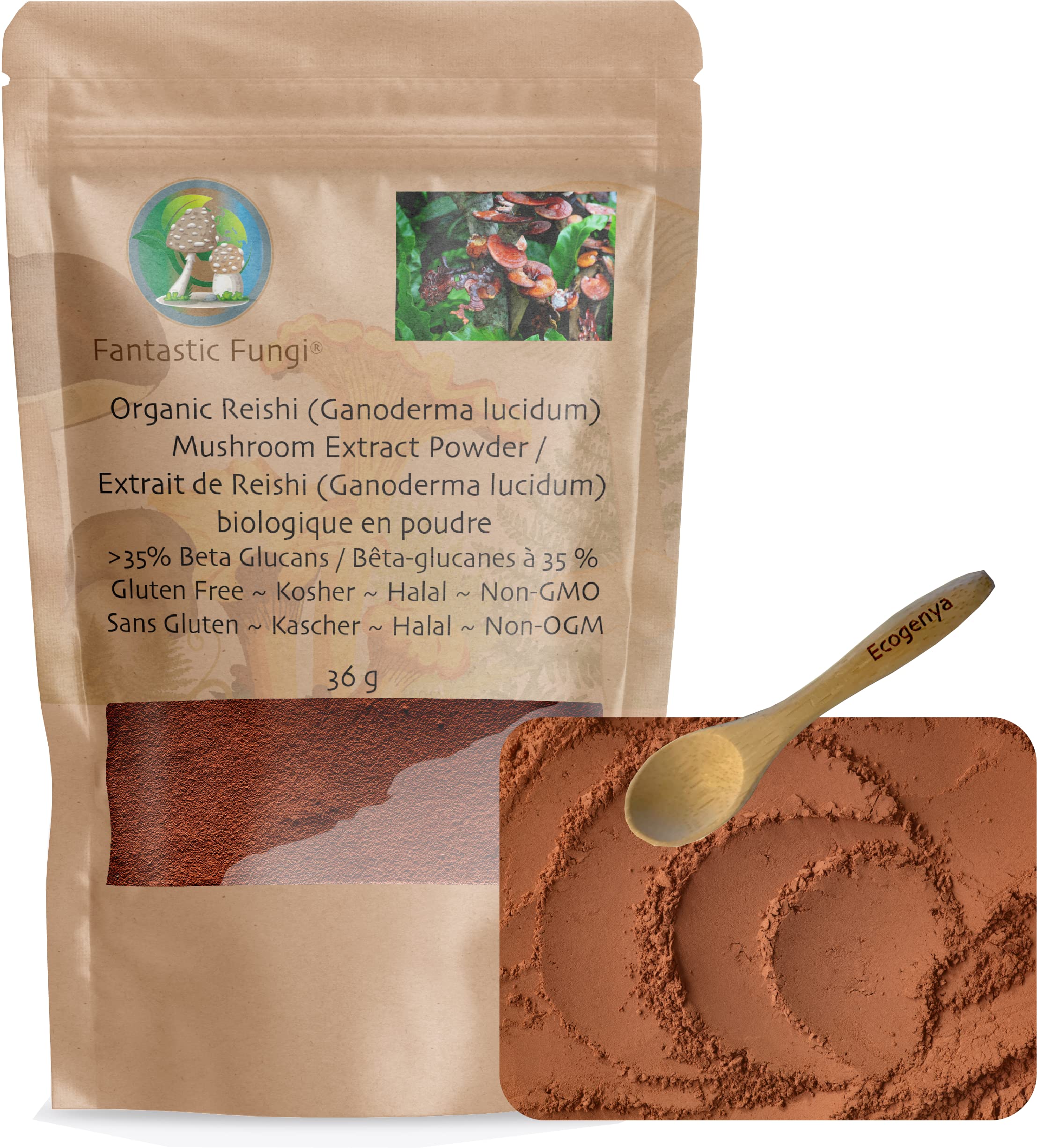 Fantastic Fungi® Reishi (Ganoderma lucidum) mushroom extract powdered ...