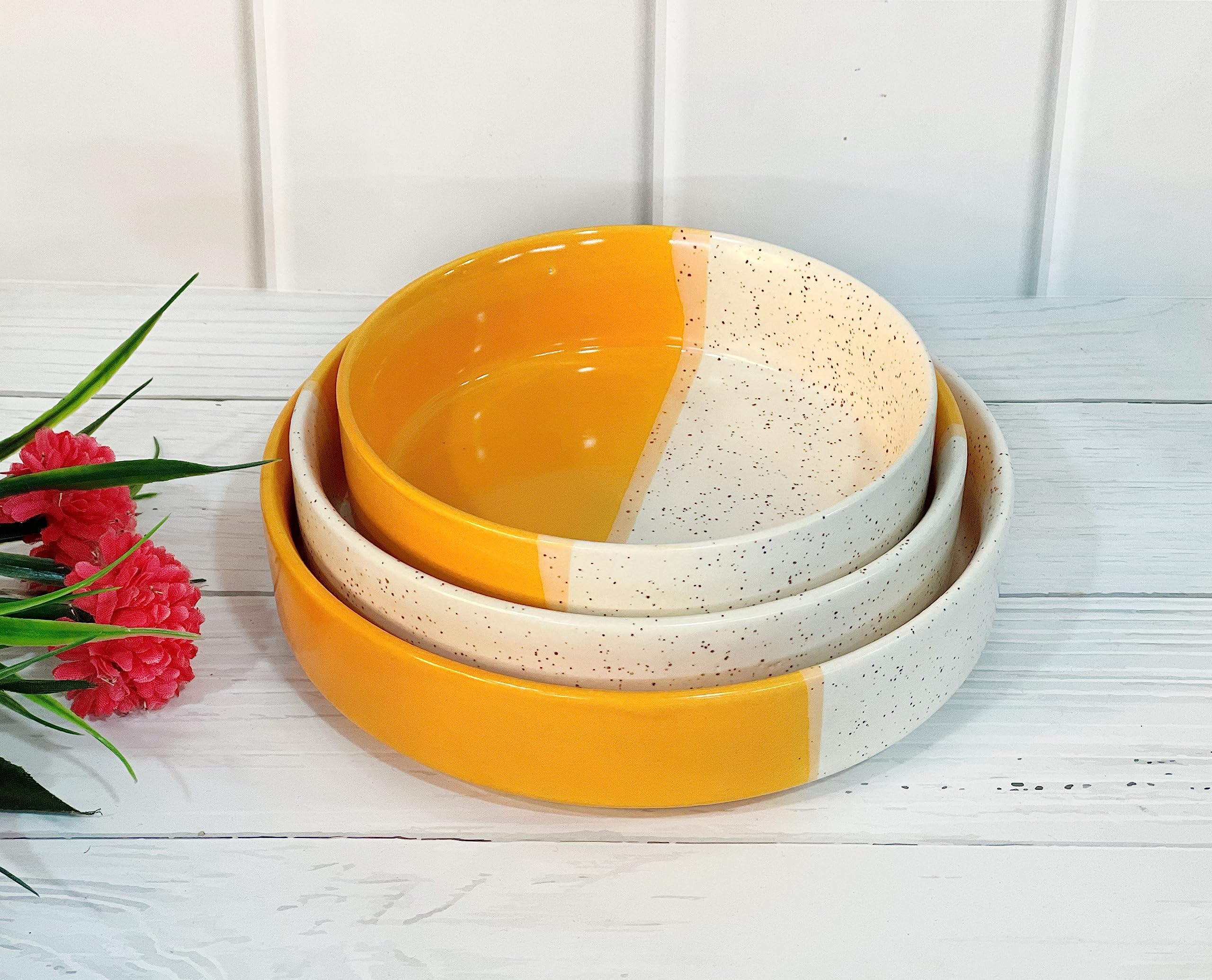 Shay Stackable Ceramic Pasta Bowl Set, 22cm, 2 Pieces, White | Matte ...