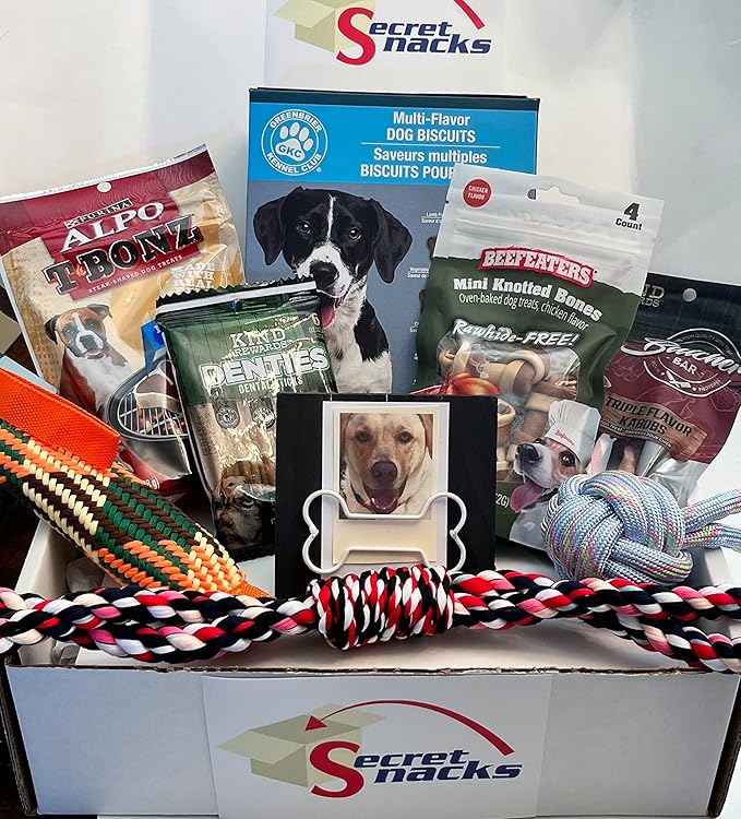 Amazon.com : Dog Gift Box with Bonus Picture Frame for Your Favorite ...