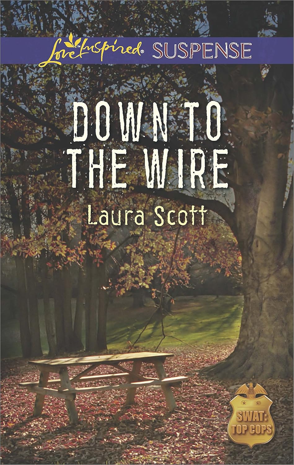 Down to the Wire: A Romantic Suspense Novel (SWAT: Top Cops Book 2 ...