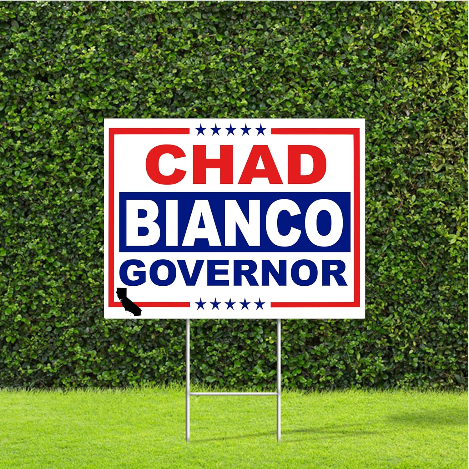 Amazon.com : Chad Bianco California Governor 2026 Race Red White & Blue ...