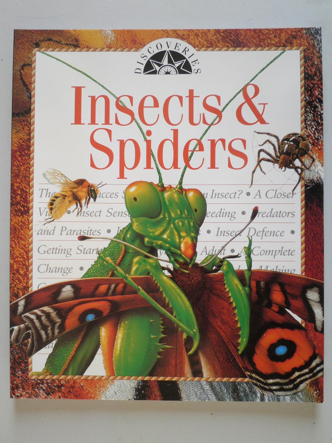 Insects and Spiders: George Else: 9781740893718: Amazon.com: Books