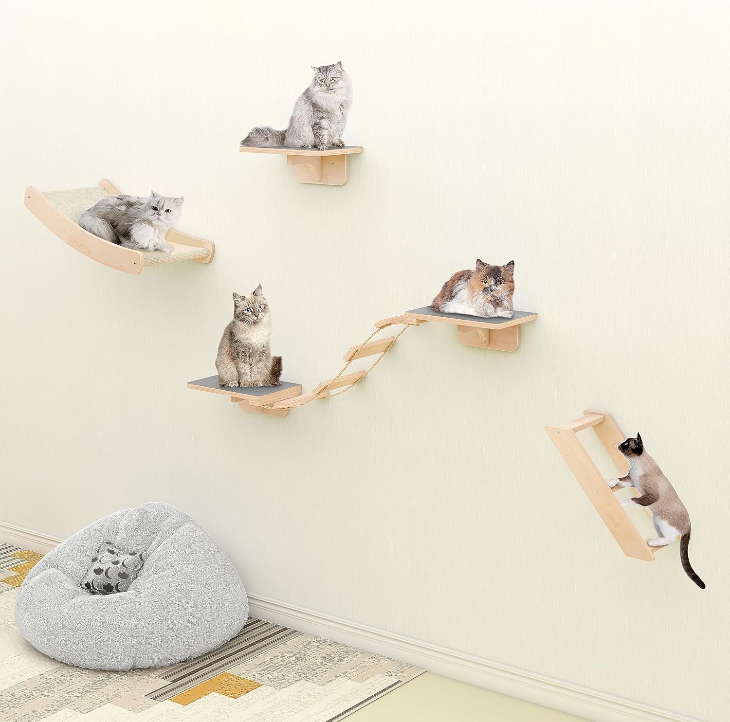 Amazon.com : Cat wall shelves, cat wall furniture, cat wall shelves and ...