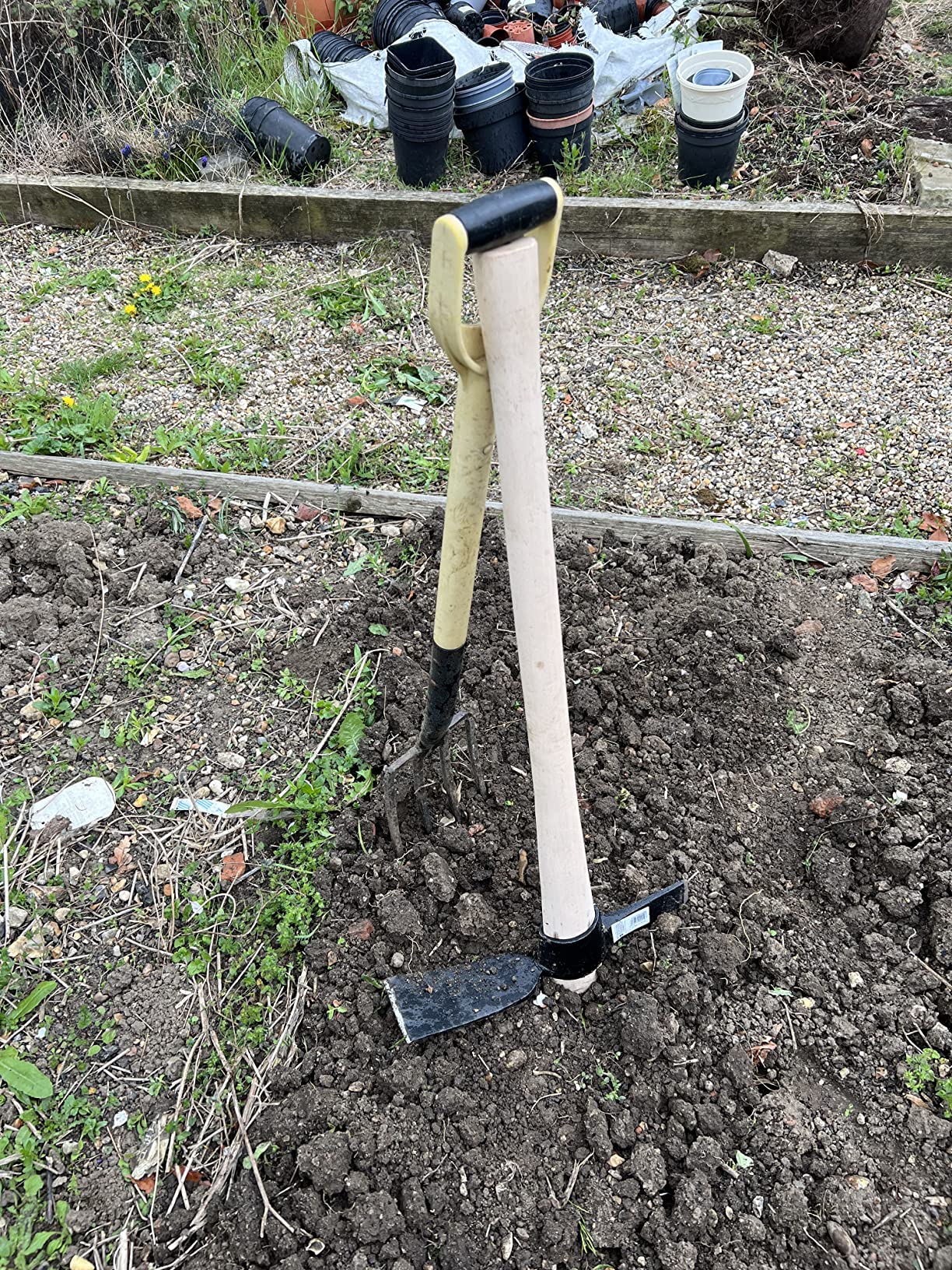 BD Ltd. Mattock 5lb Head and 36” Solid Wooden Handle Digging Pick Adze ...