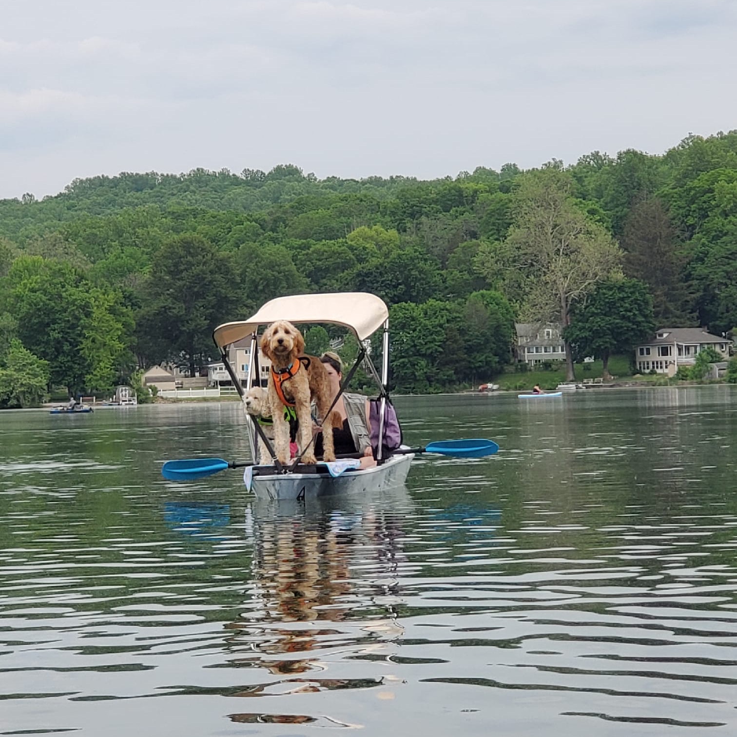 $25/mo - Finance Cypress Rowe Outfitters Beige Canoe/Kayak Sun Shade ...