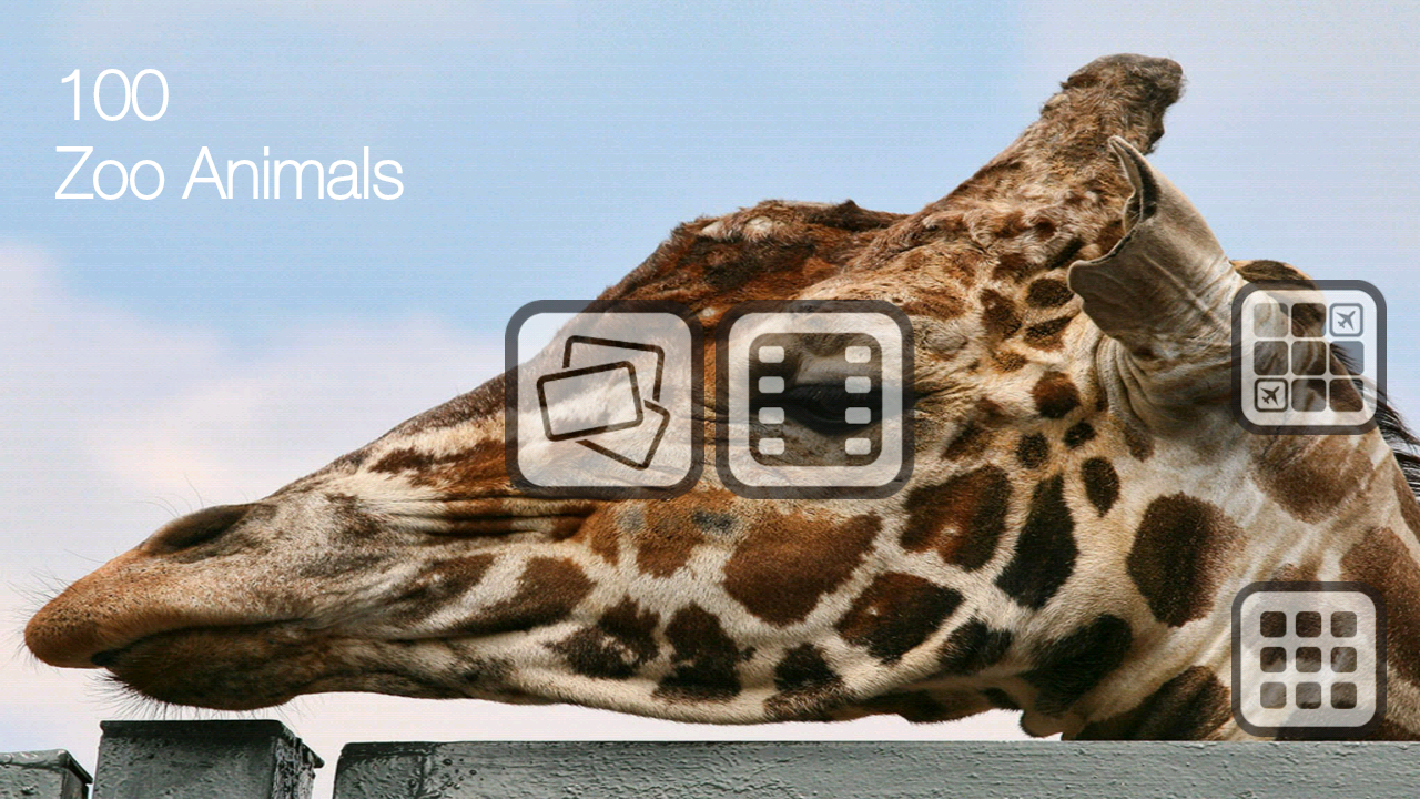 100 Zoo Animals - Elephants, giraffes, lions and more - App on Amazon Appstore
