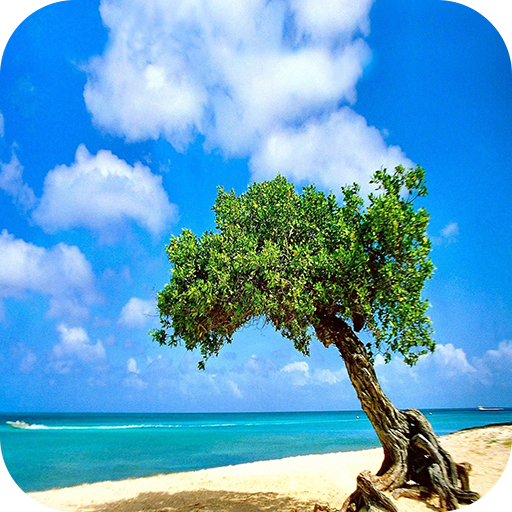 Tree 4K Wallpaper - App on Amazon Appstore