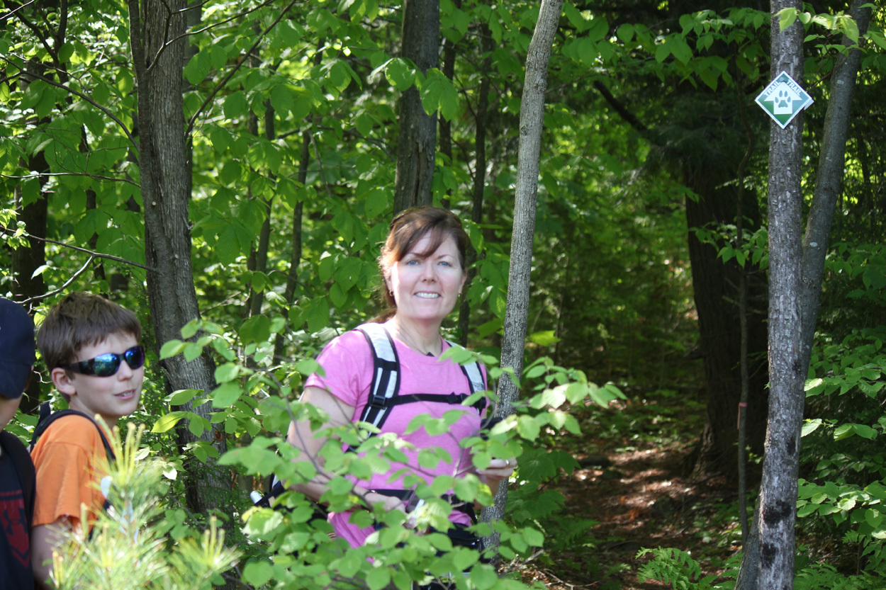 Amazon.com: Diane Chase: books, biography, latest update