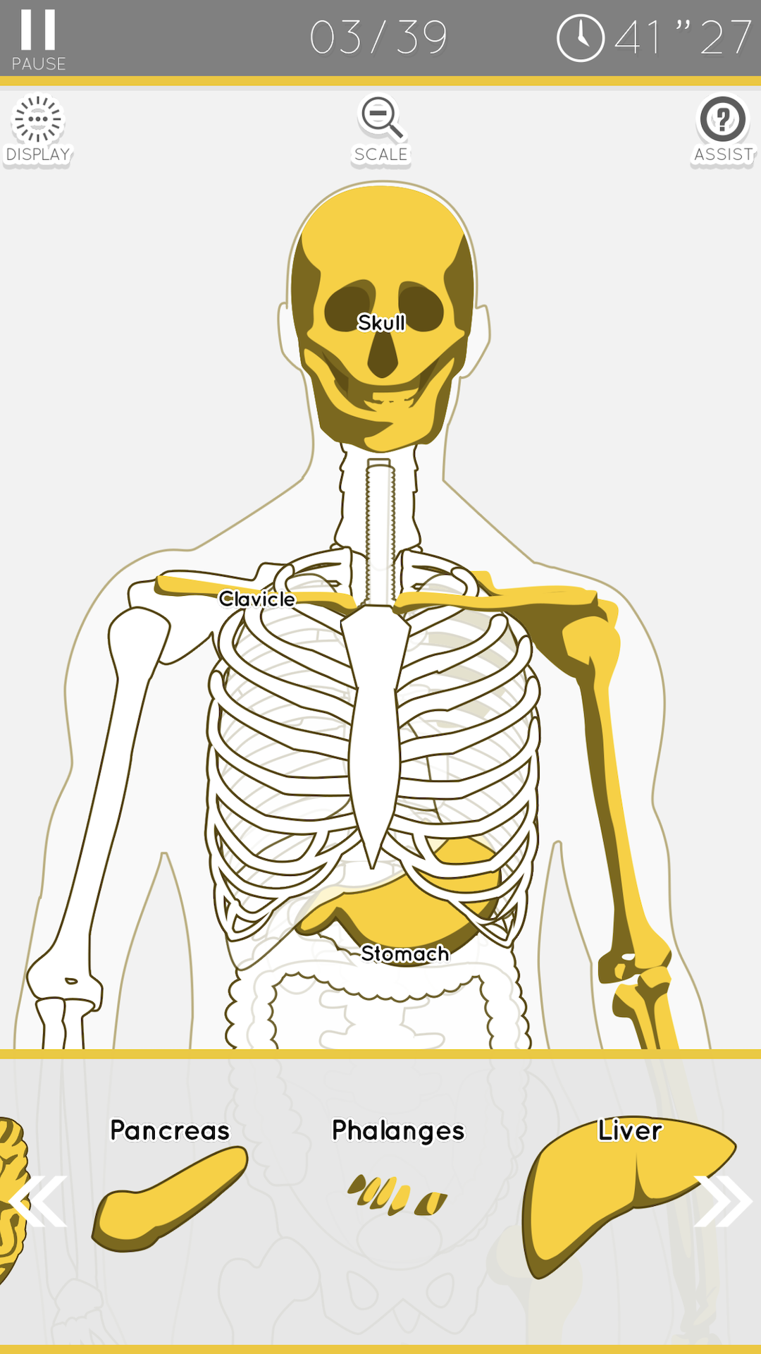 Enjoy Learning Anatomy Puzzle - App on Amazon Appstore