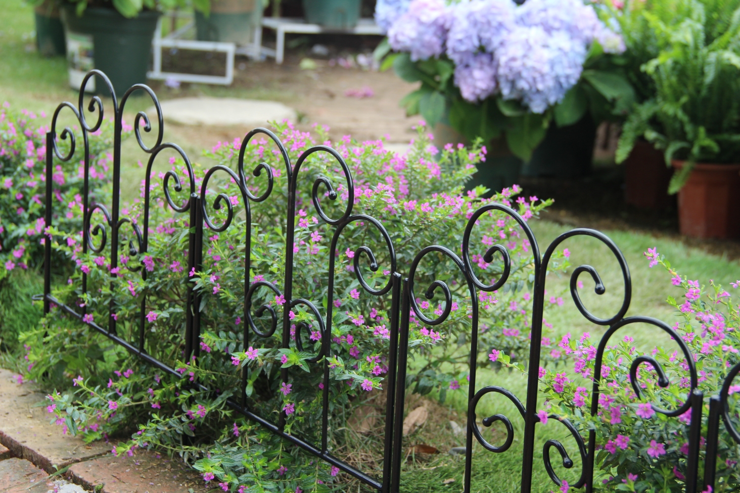 Garden Flower Wrought Iron Fence