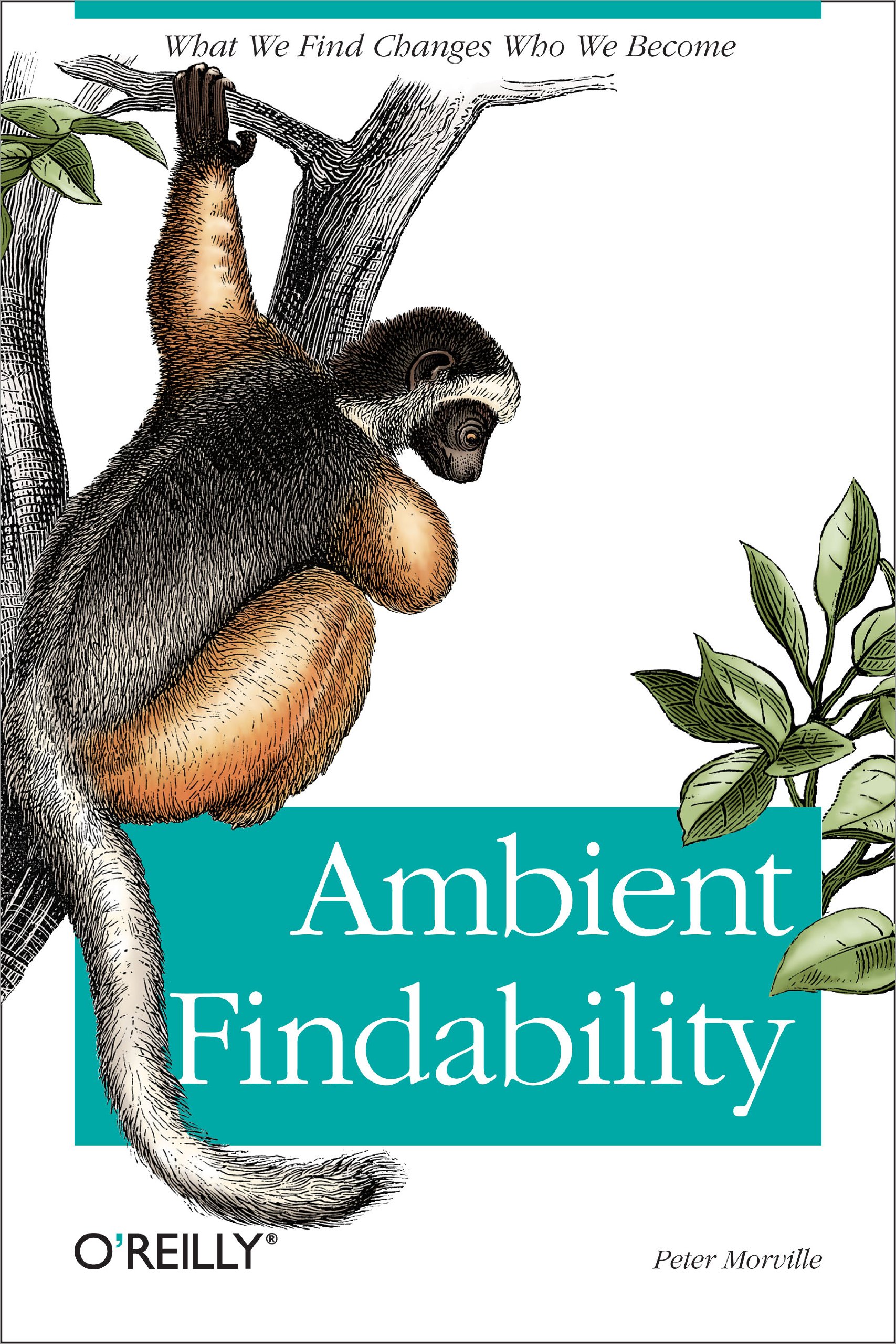 Ambient Findability: What We Find Changes Who We Become: Morville, Peter: 9780596007652: Amazon ...