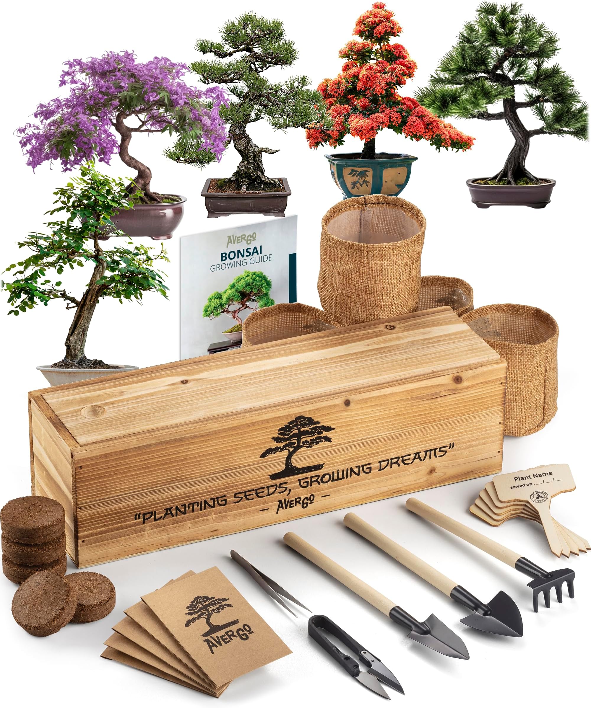 Amazon.com : Natureit Bonsai Seed Starter Kit - Unique Wooden Growing ...