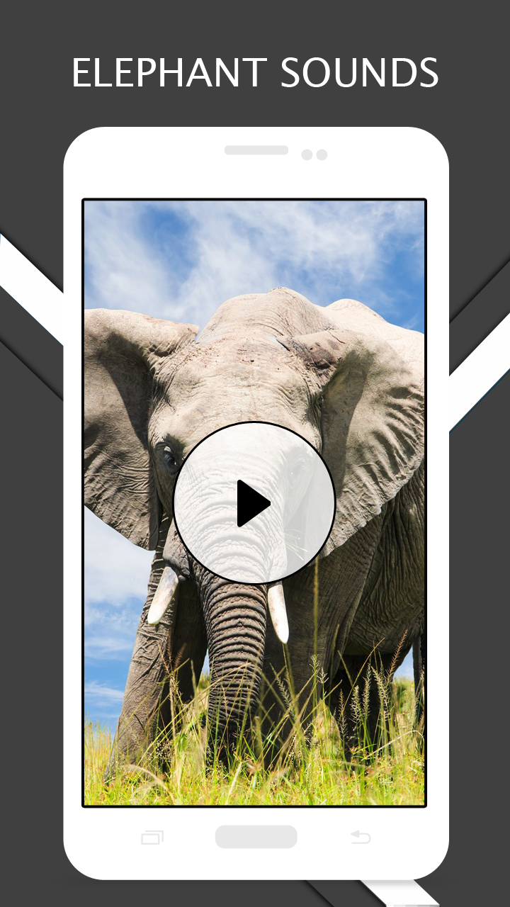 Elephant Sounds - App on Amazon Appstore