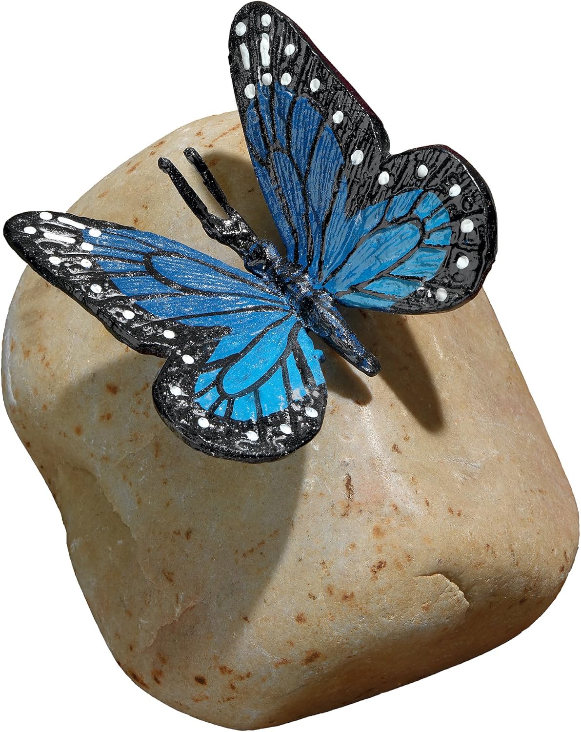 Design Toscano Papilio Ulysses Butterfly on Rock Statue : Amazon.co.uk ...