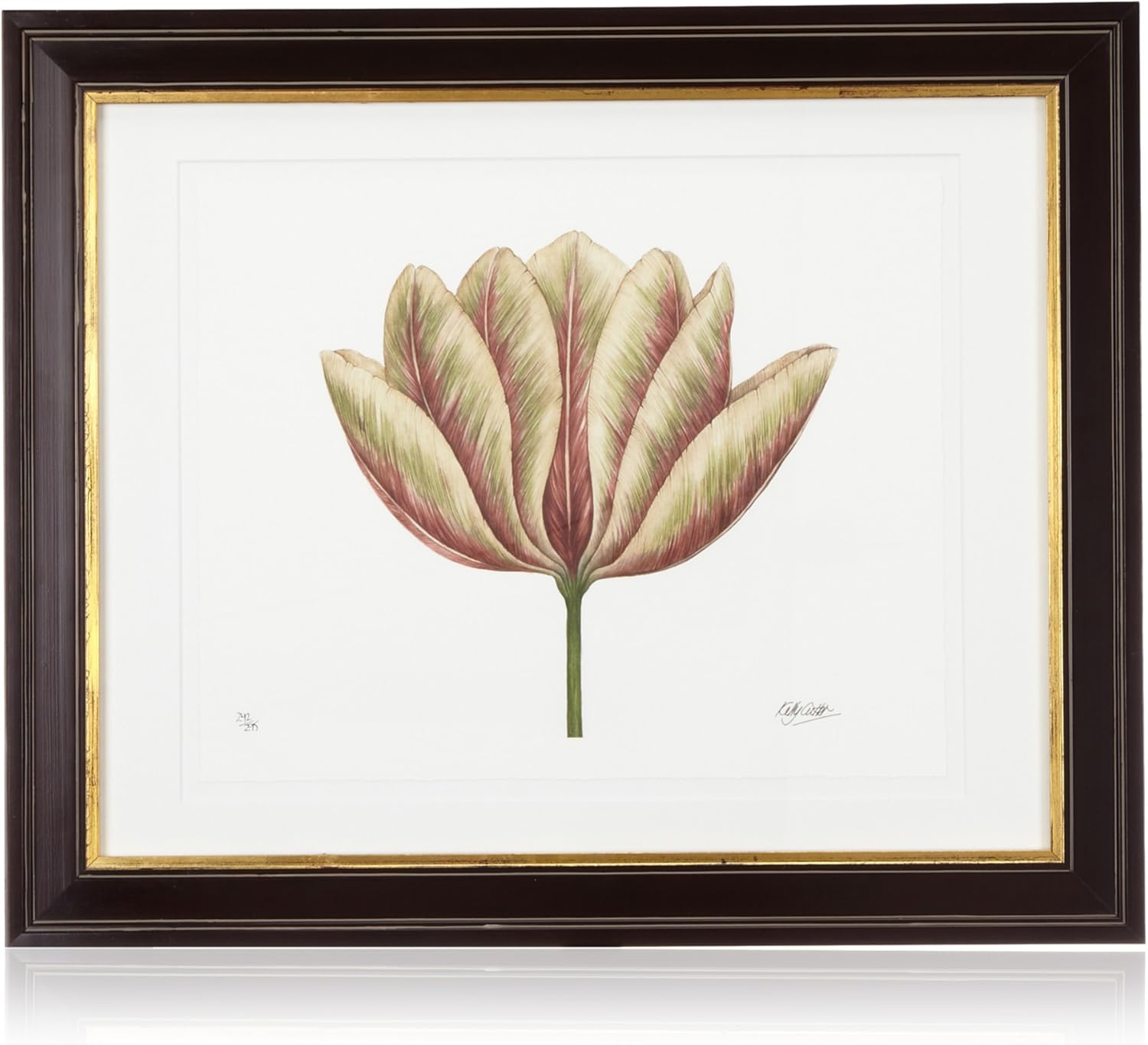 Amazon.com: Trowbridge Framed Art: Kelly Cutter Tulips, 20.75" x 25 ...