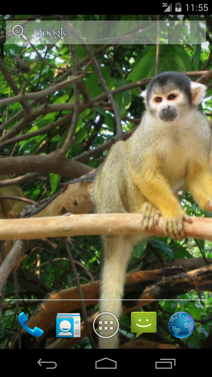 Monkey Wallpaper App - App on Amazon Appstore