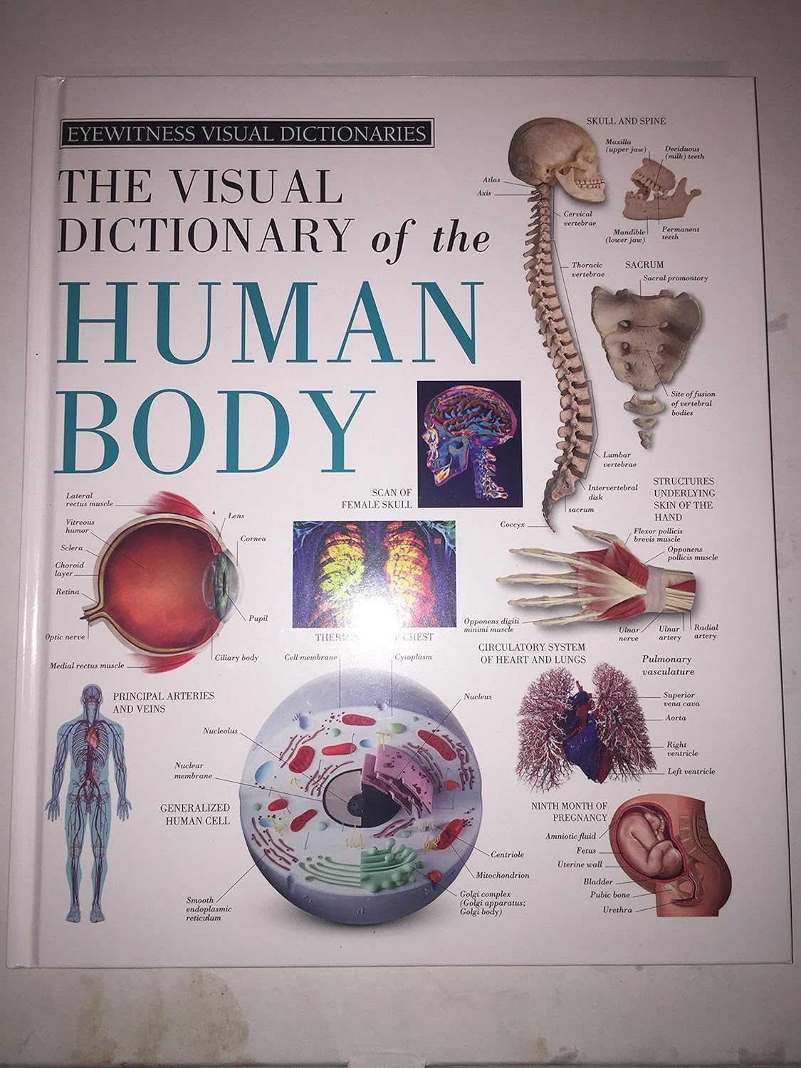 Visual Dictionary of the Human Body: unknown author: 9780555030042 ...