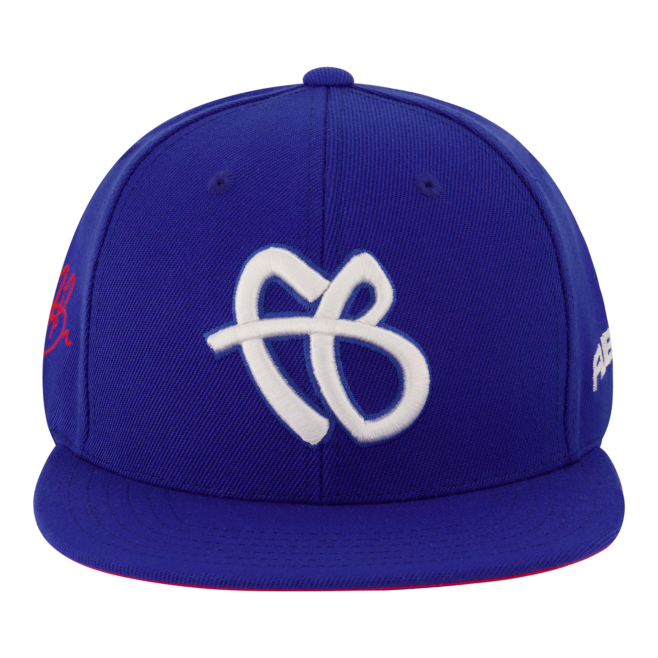 Buy unisex-adult Fubu Baseball Cap, Adult Snapback Hat With Graffiti ...