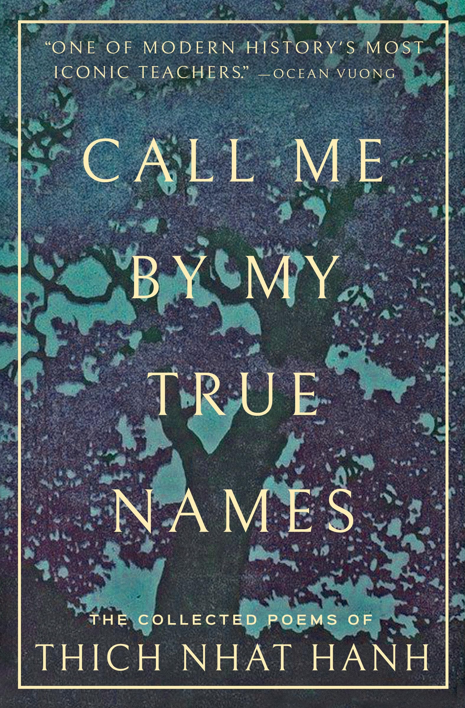 Snapklik.com : Call Me By My True Names: The Collected Poems Of Thich ...