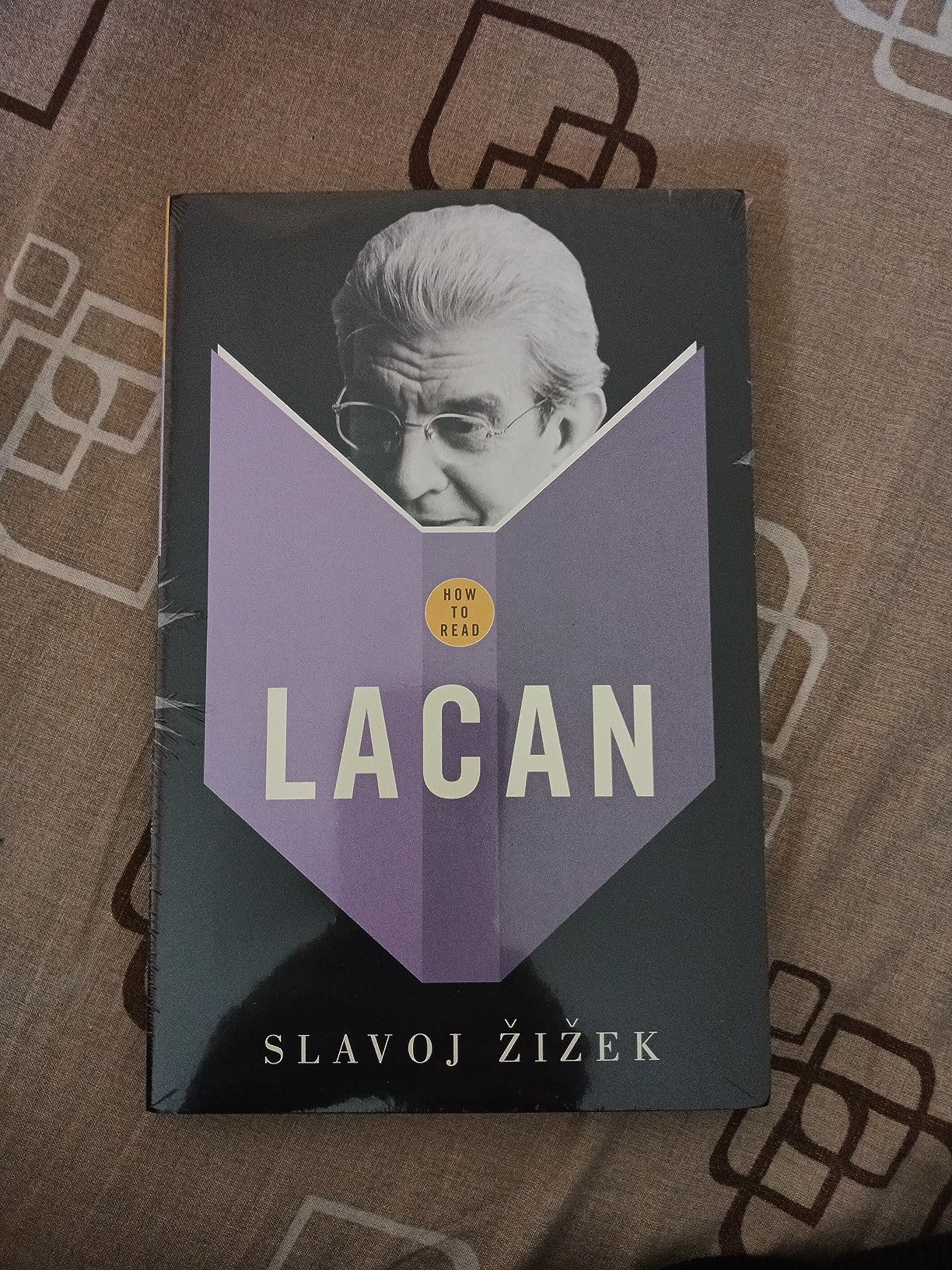 Buy How To Read Lacan Book Online at Low Prices in India | How To Read ...