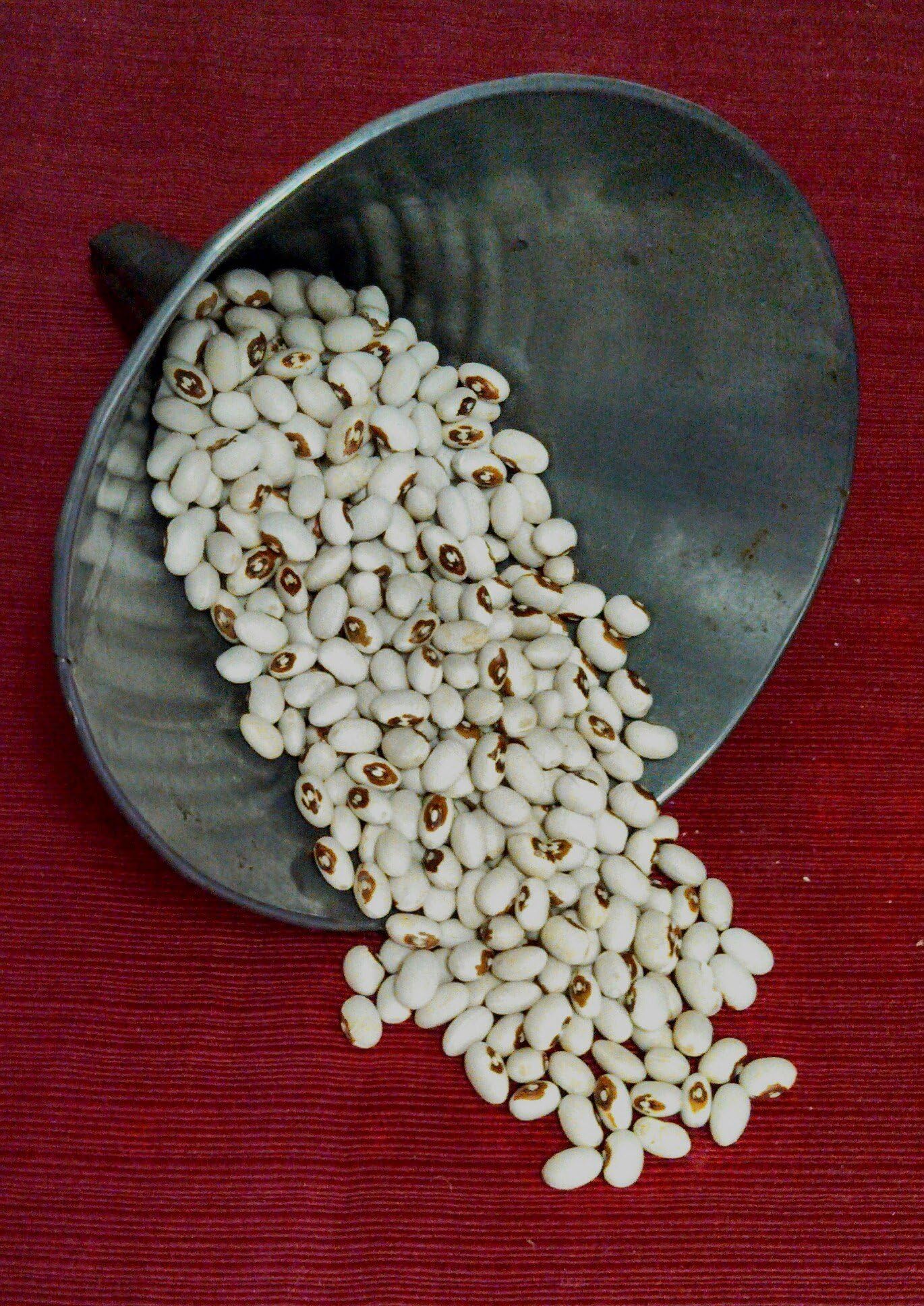 Amazon.com : Maine Yellow Eye Beans (2oz) : Patio, Lawn & Garden