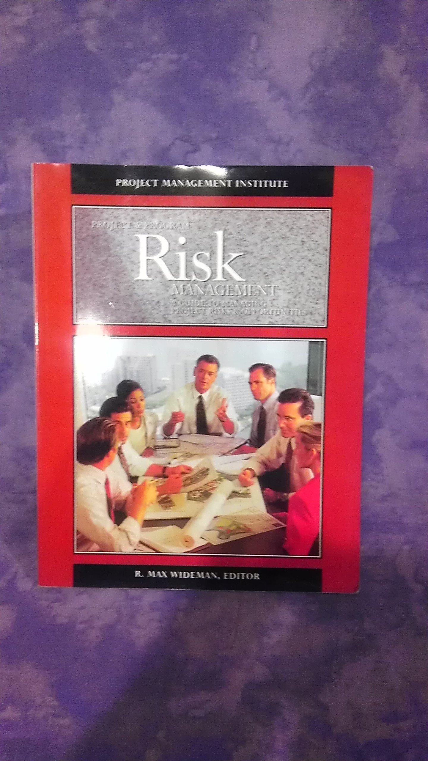Amazon.com: Project and Program Risk Management: A Guide to Managing ...