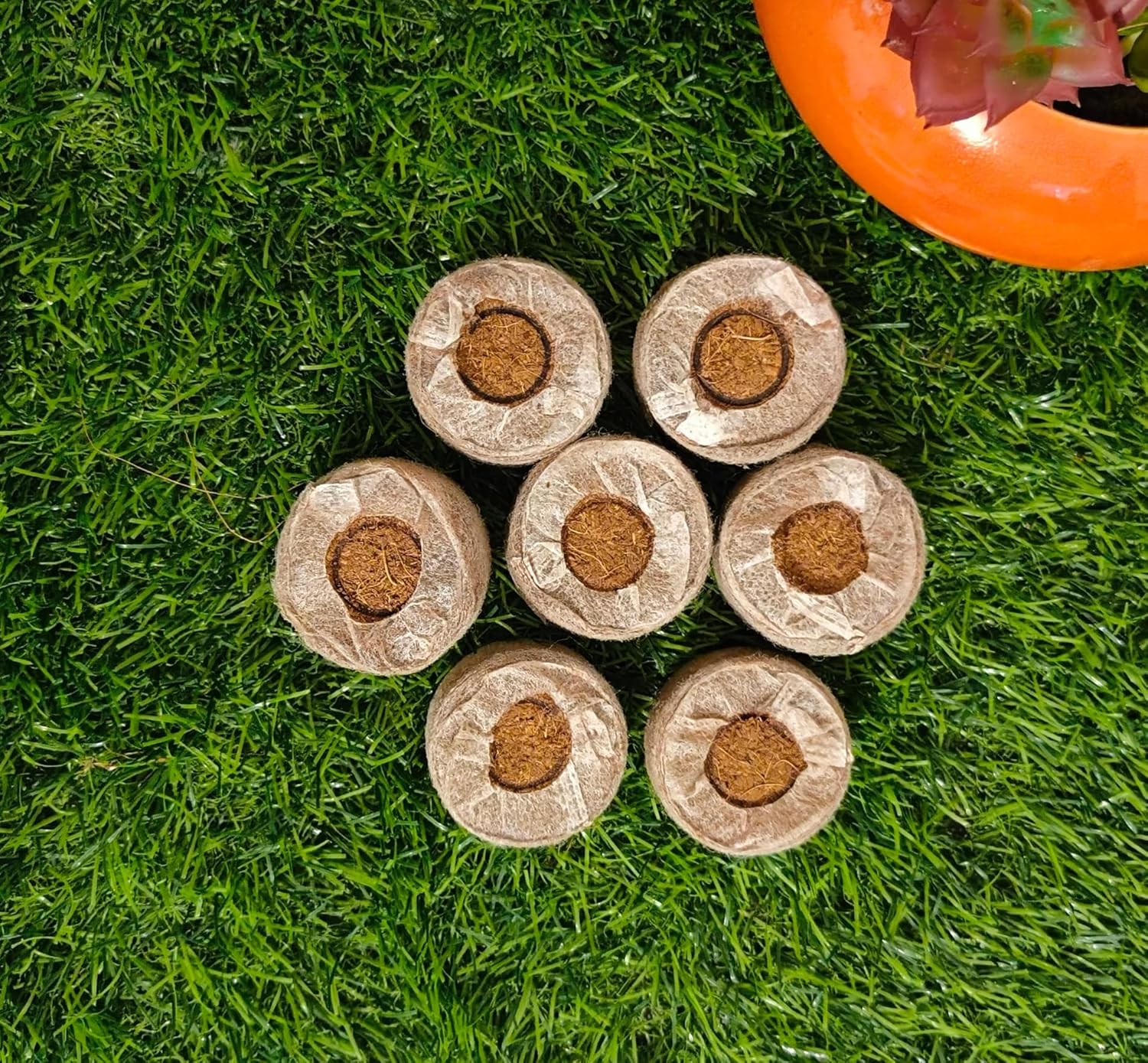 Gold Dust Cocopeat Coins for Seedling, Cocopeat Coin, Cocopeat Disc for ...