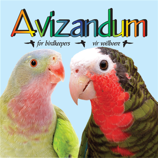 Avizandum - App on the Amazon Appstore