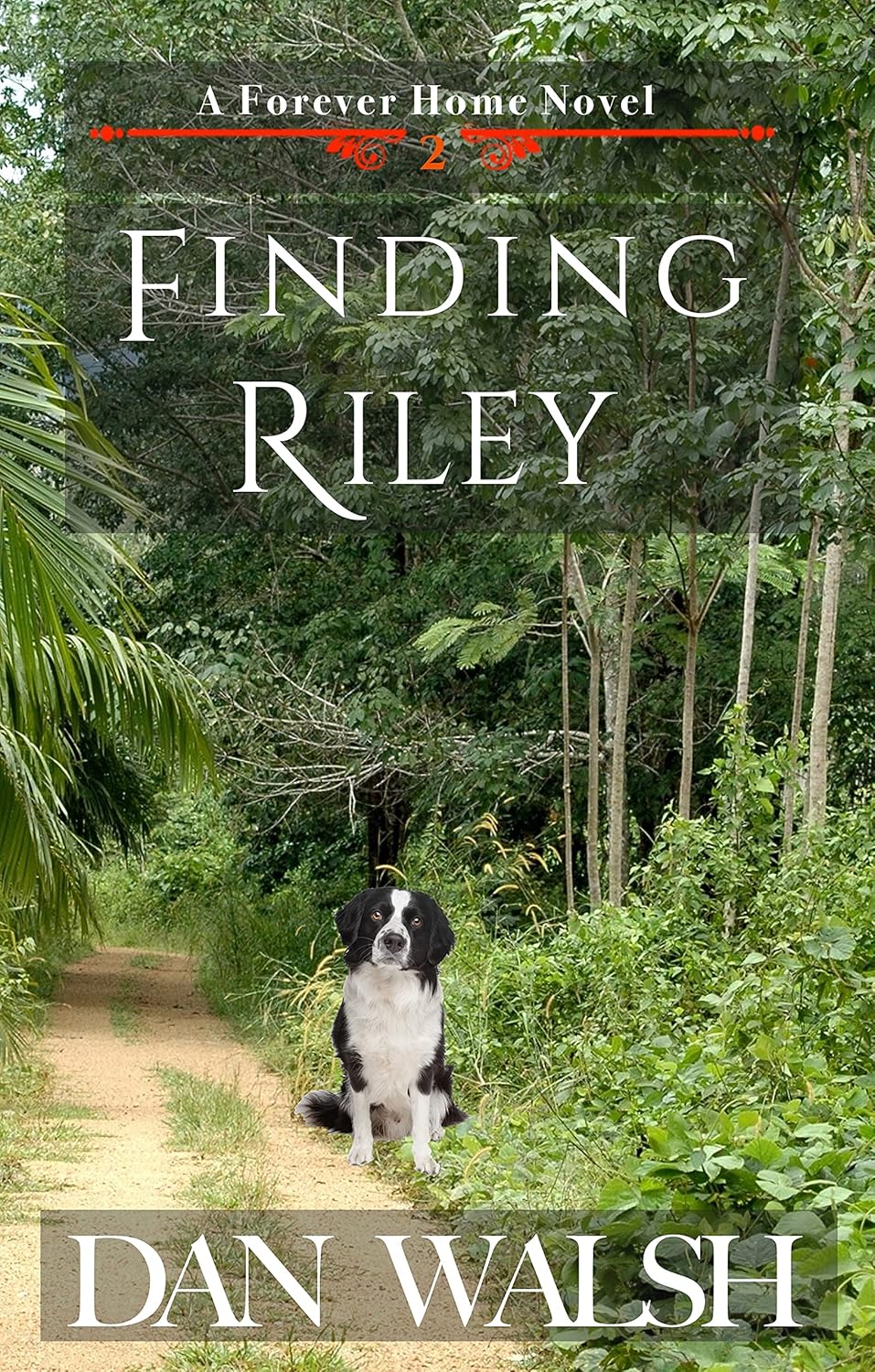 Amazon.com: Finding Riley (A Forever Home Novel Book 2) eBook : Walsh ...