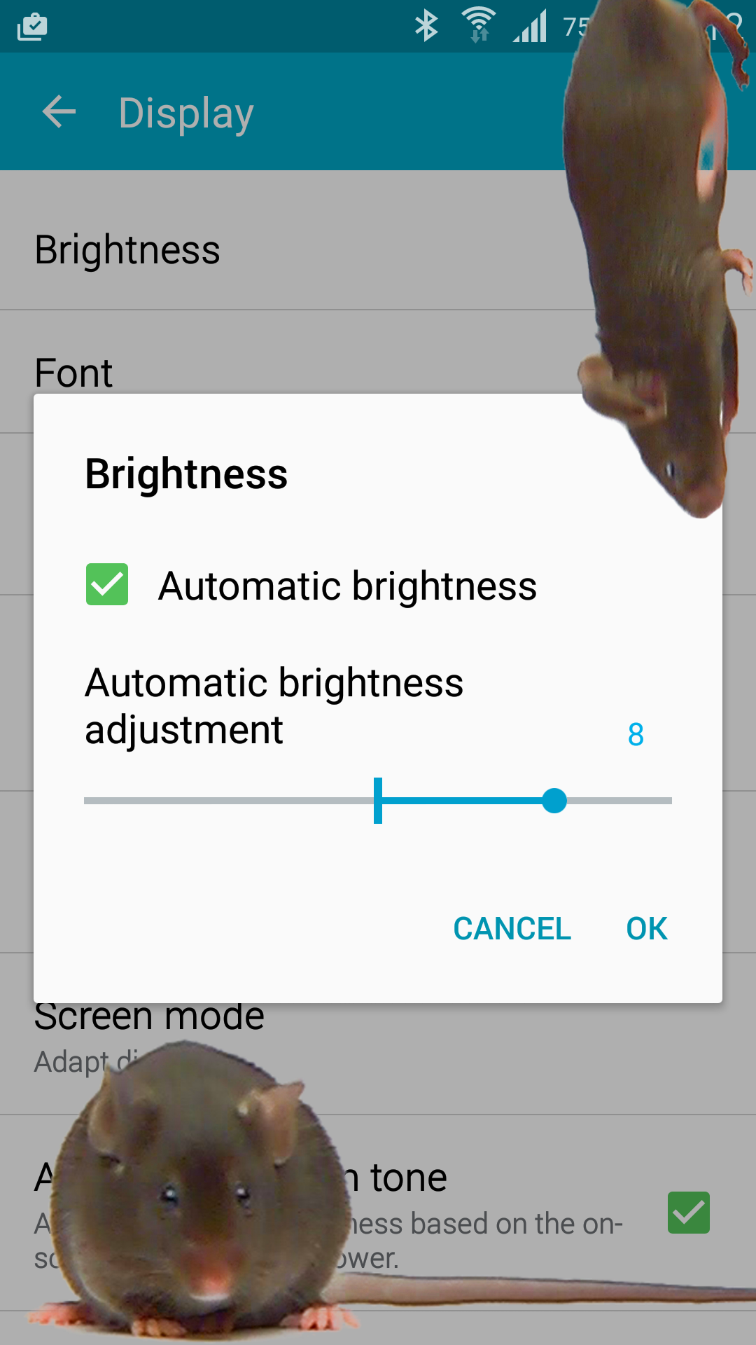 Mouse on Screen Scary Joke - App on Amazon Appstore