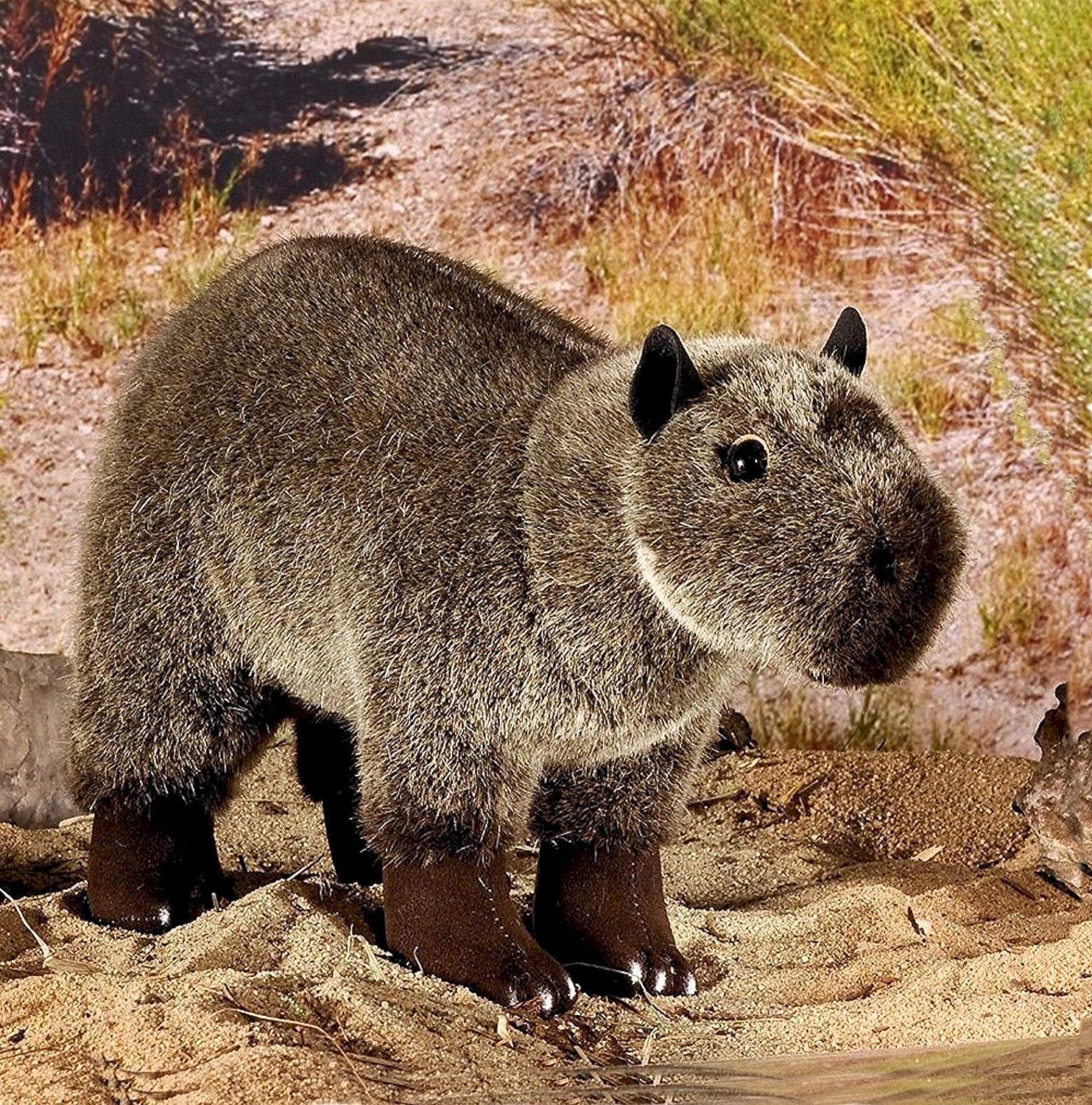 Buy Capybara collectable soft toy by Kosen / Kösen - 6540 - 25cm Online ...