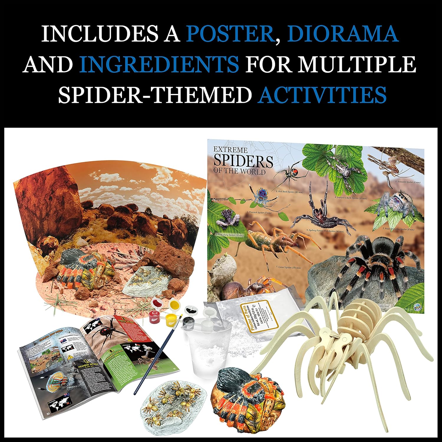 WILD ENVIRONMENTAL SCIENCE Extreme Spiders of the World – Para mayores ...