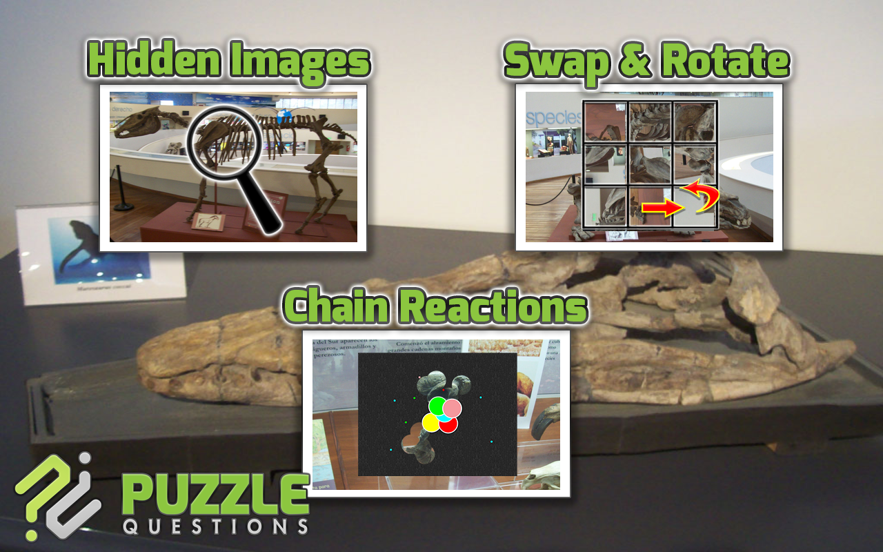 Free Dinosaur Jigsaw Puzzle Games: Fossil - App on the Amazon Appstore