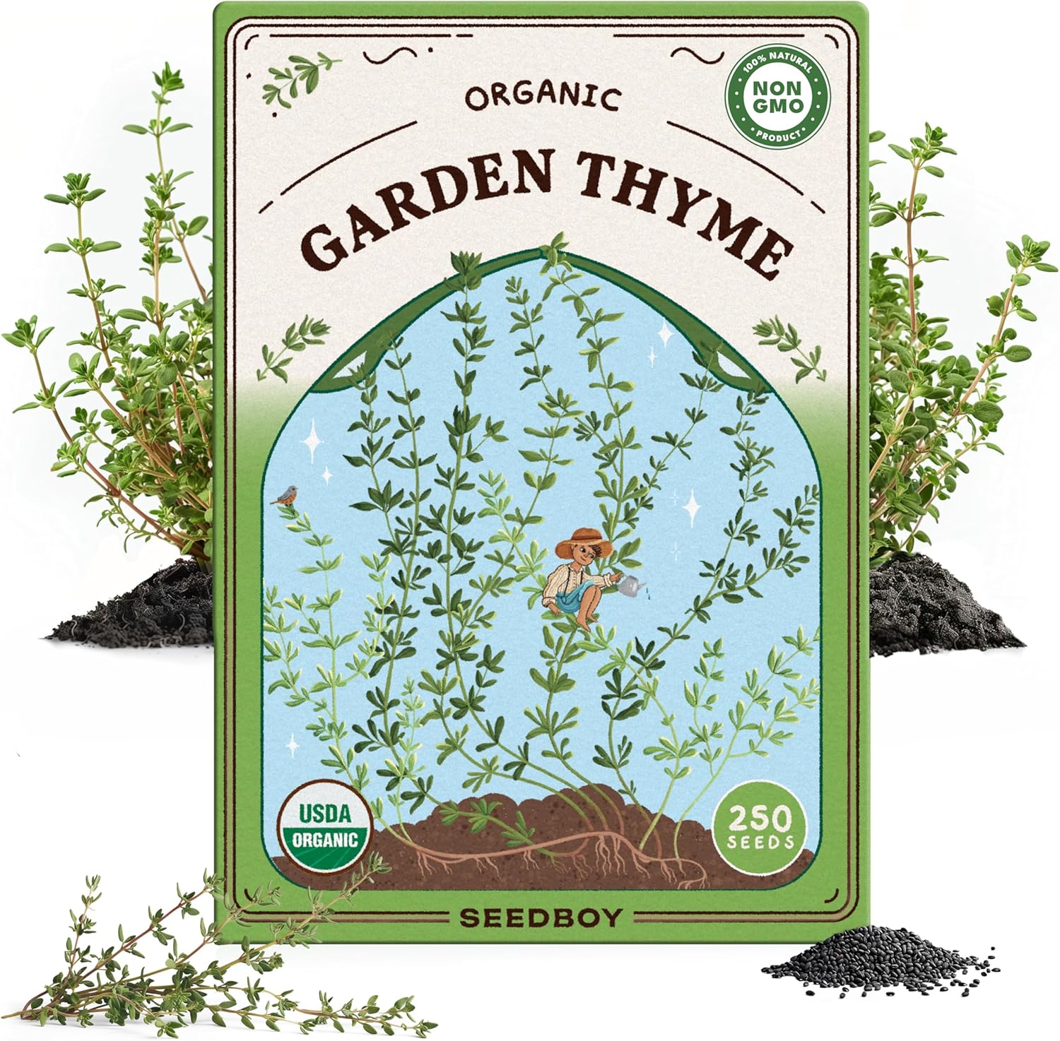 Amazon.com : Seedboy Organic Thyme Herb Seeds for Indoor Gardening or ...