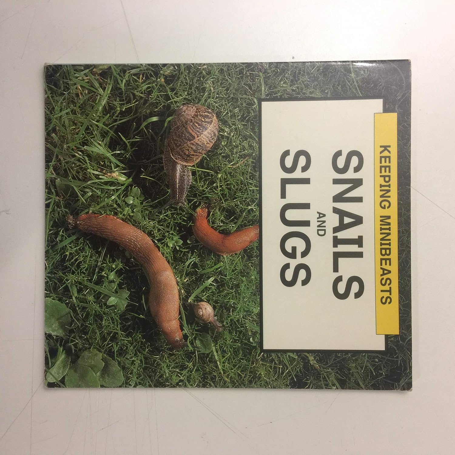 Snails and Slugs (Keeping Minibeasts): Watts, Barrie, Henwood, Chris ...