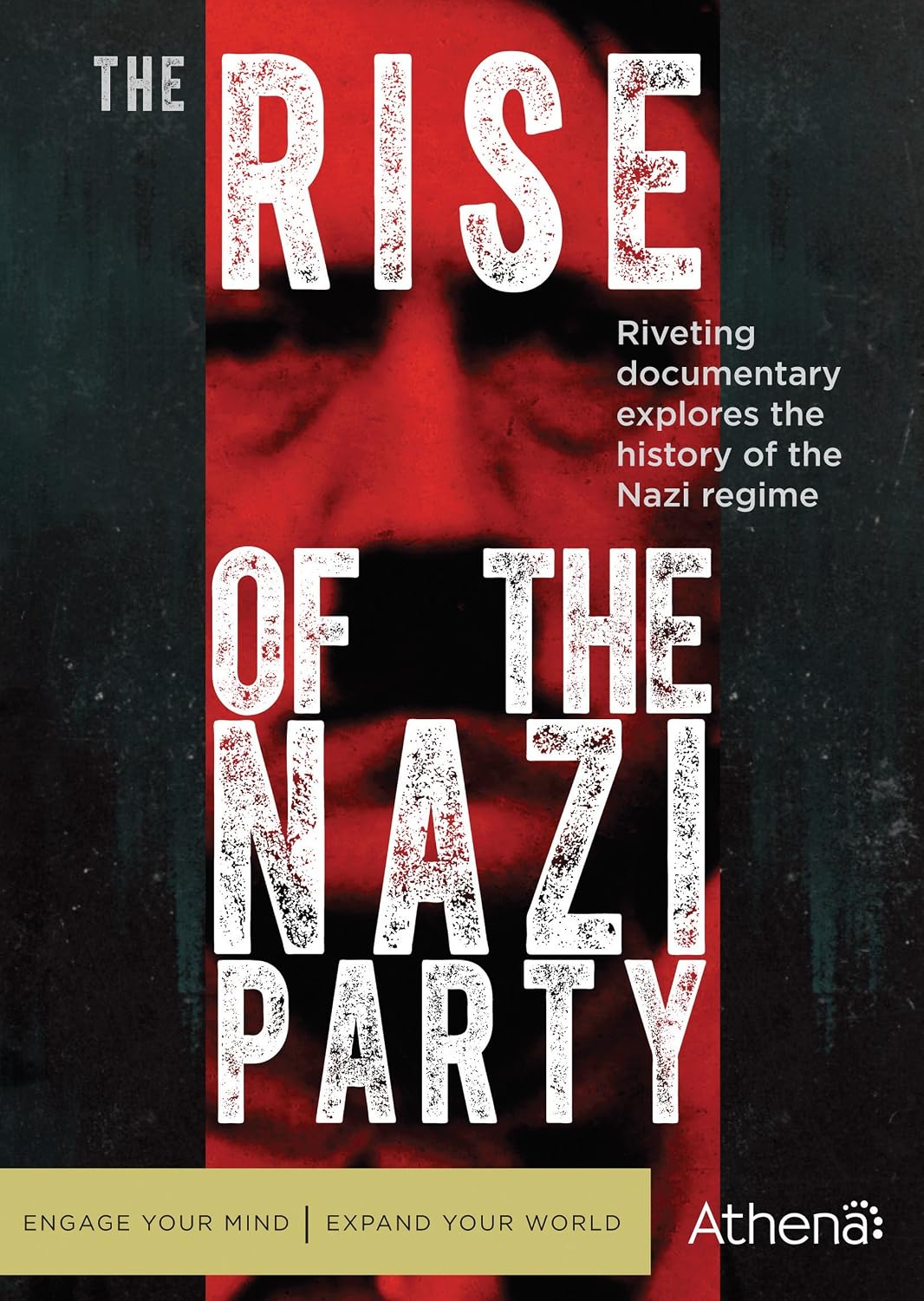 Rise of the Nazi Party [DVD] [2014] [Region 1] [US Import] [NTSC ...