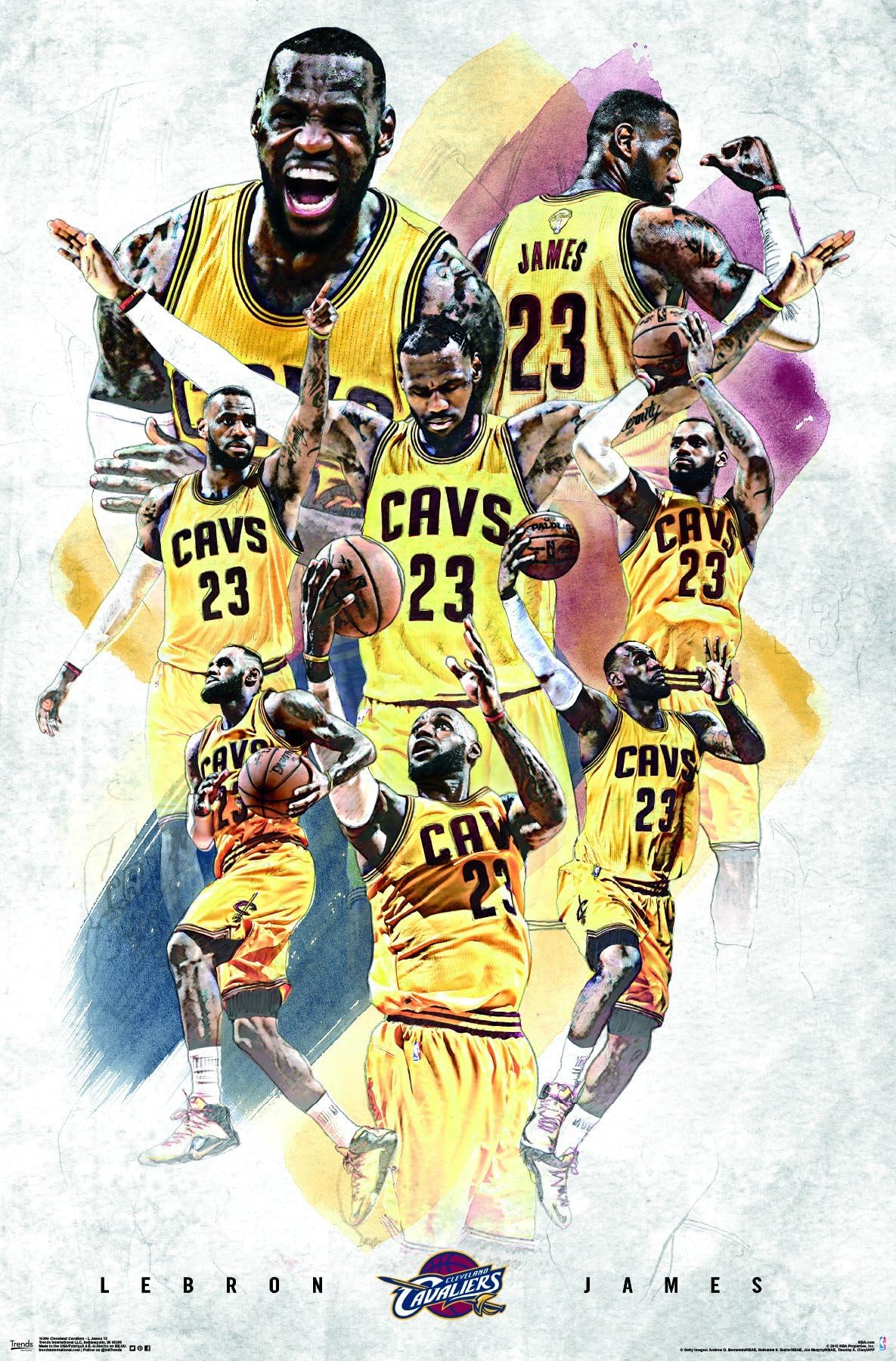 Amazon.com: Trends International NBA League - LeBron James All-Time ...