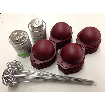 Amazon.com : (25 Pack) Apple Maggot Trap Starter Kit - with NO ...