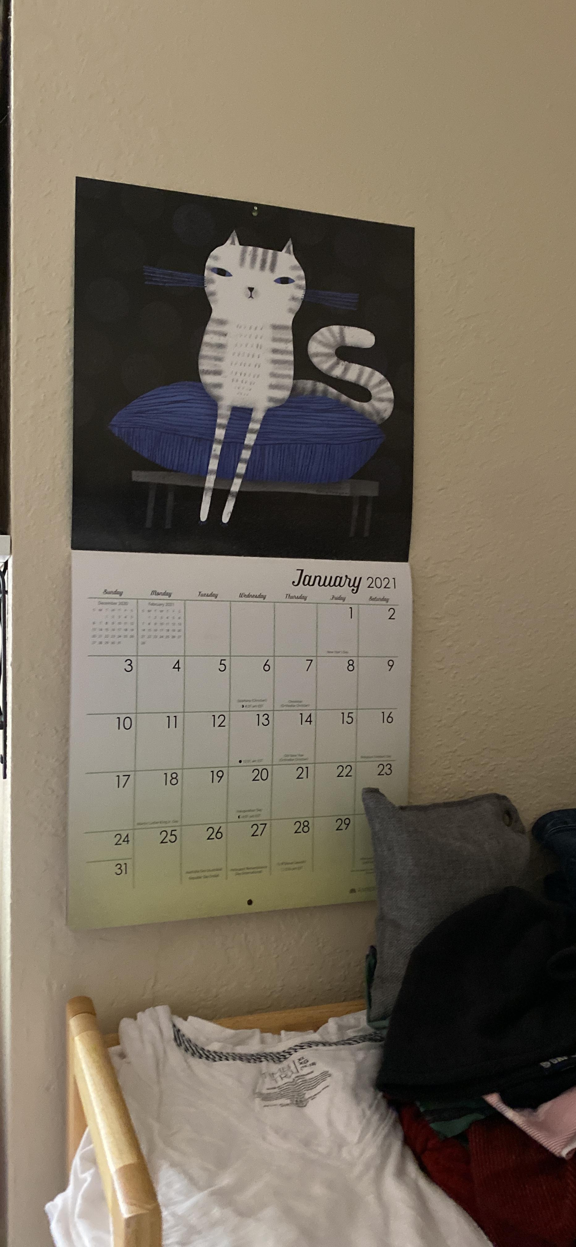 Feline 2021 Calendar: Runyan, Terry: 9781631366529: Amazon.com: Books